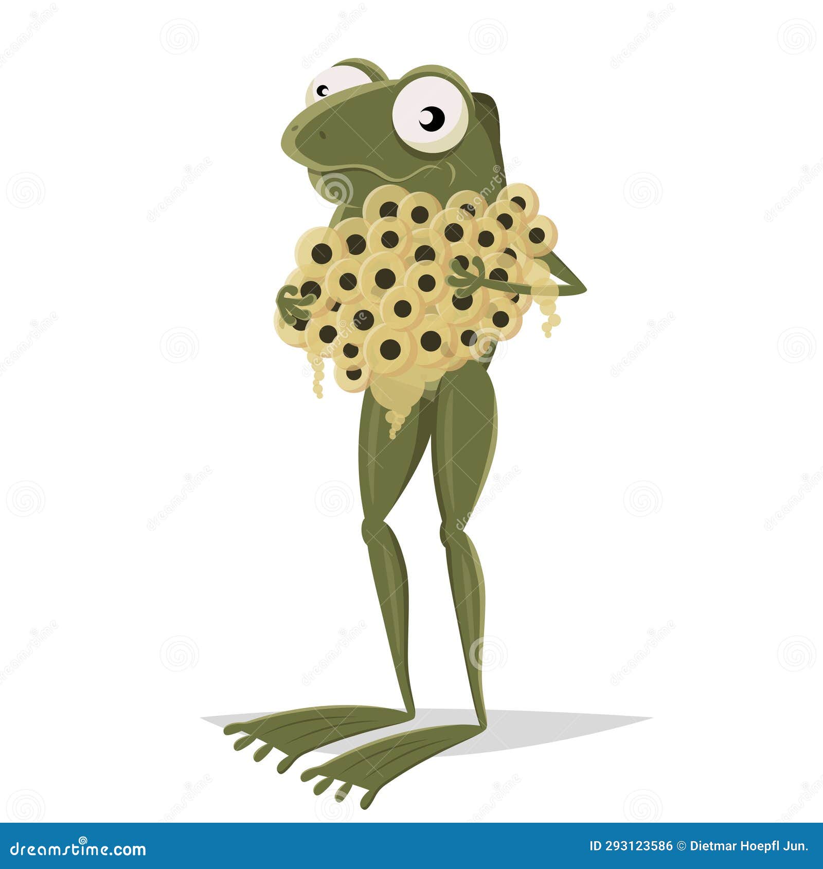 Cartoon Frog Holding a Bunch of Frogspawn Stock Vector - Illustration ...