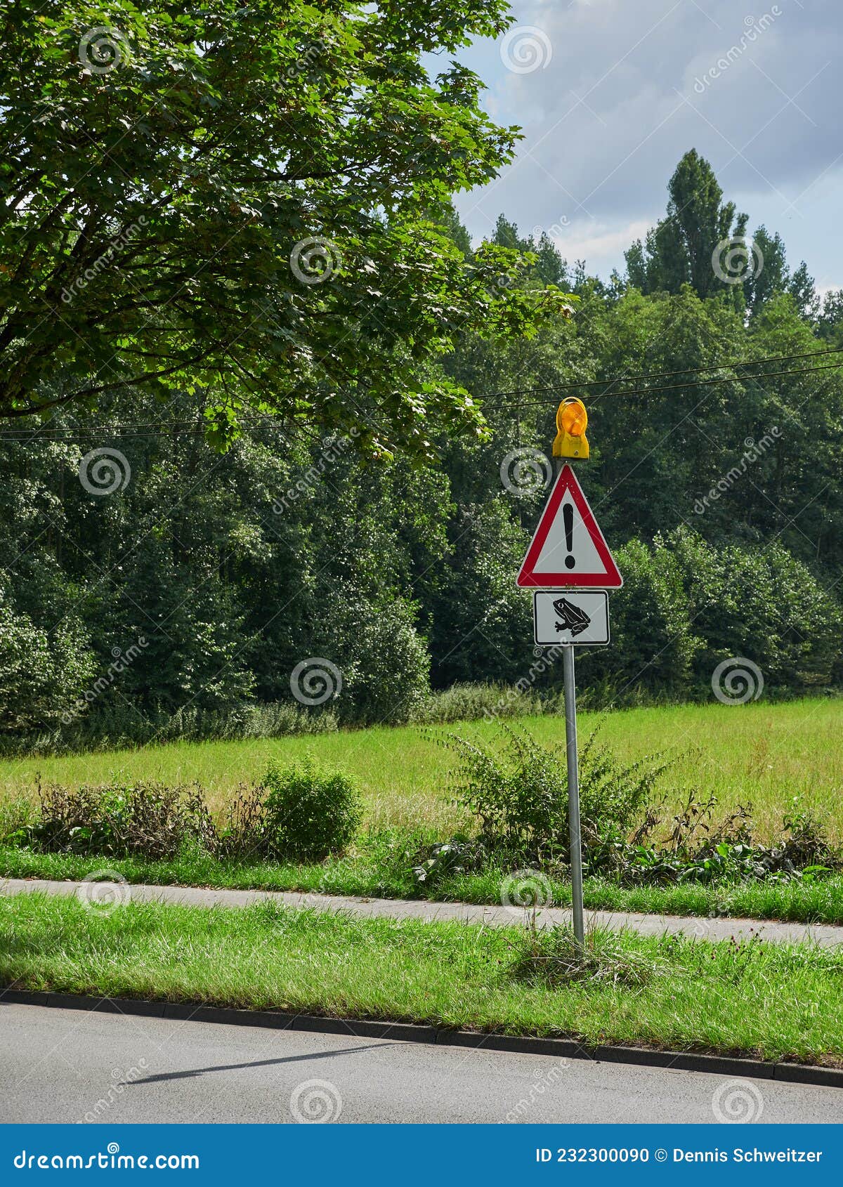 A frog warning sign stock photo. Image of environment - 232300090