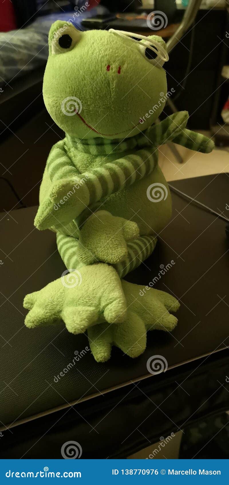Froggy stock photo. Image of cuddle, frog, froggy, softtoy - 138770976