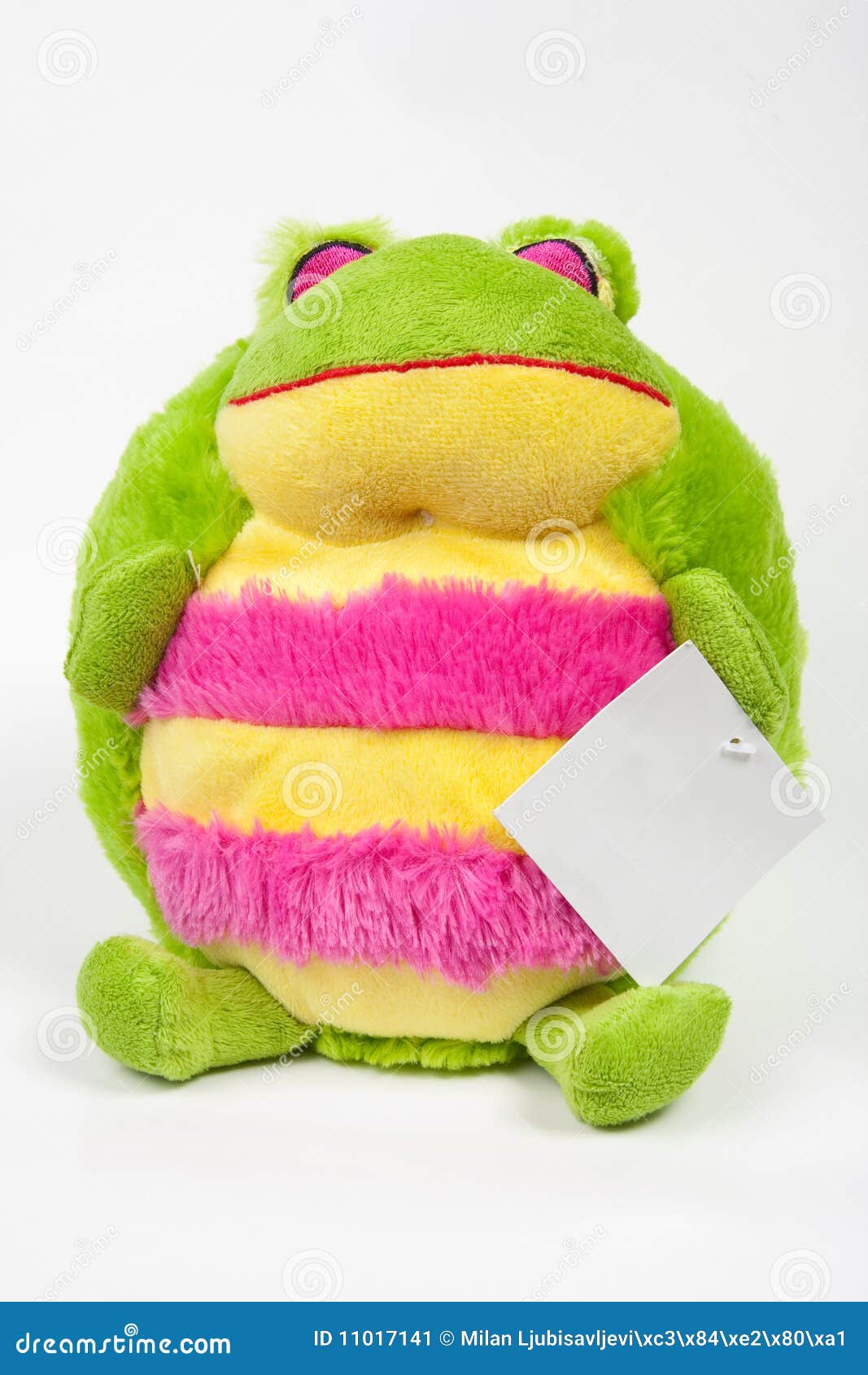 Froggy Toy stock image. Image of soft, animal, note, green - 11017141