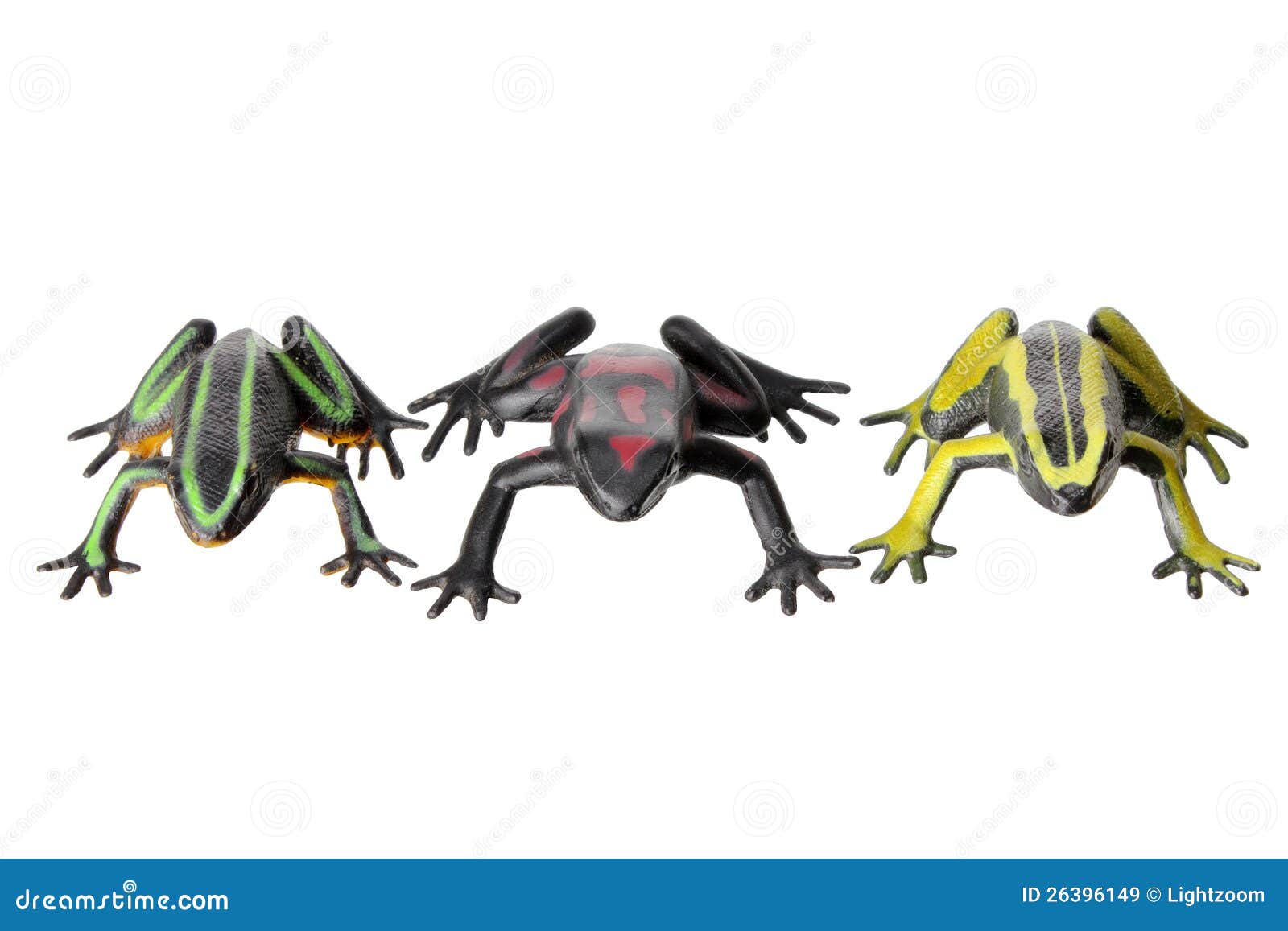 Frogs stock image. Image of contact, cooperation, teamwork - 26396149
