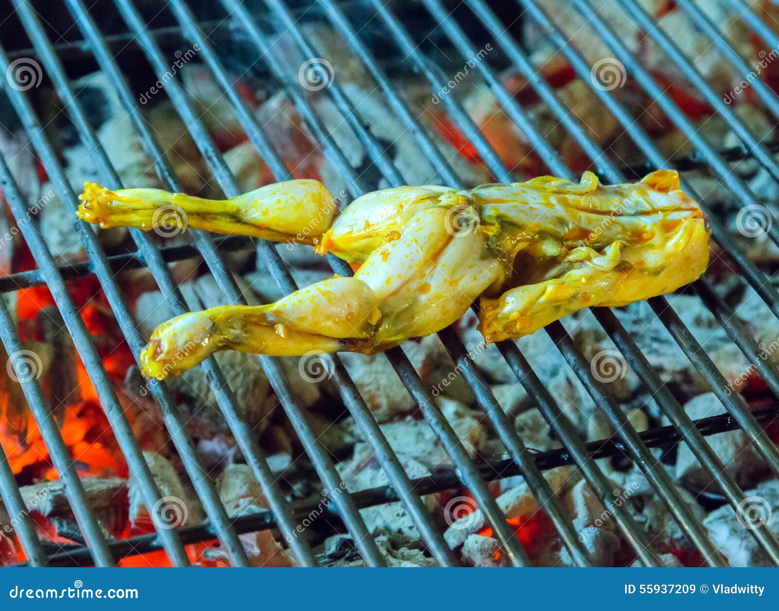 Frogs bbq stock image. Image of kitchen, fire, oriental - 55937209