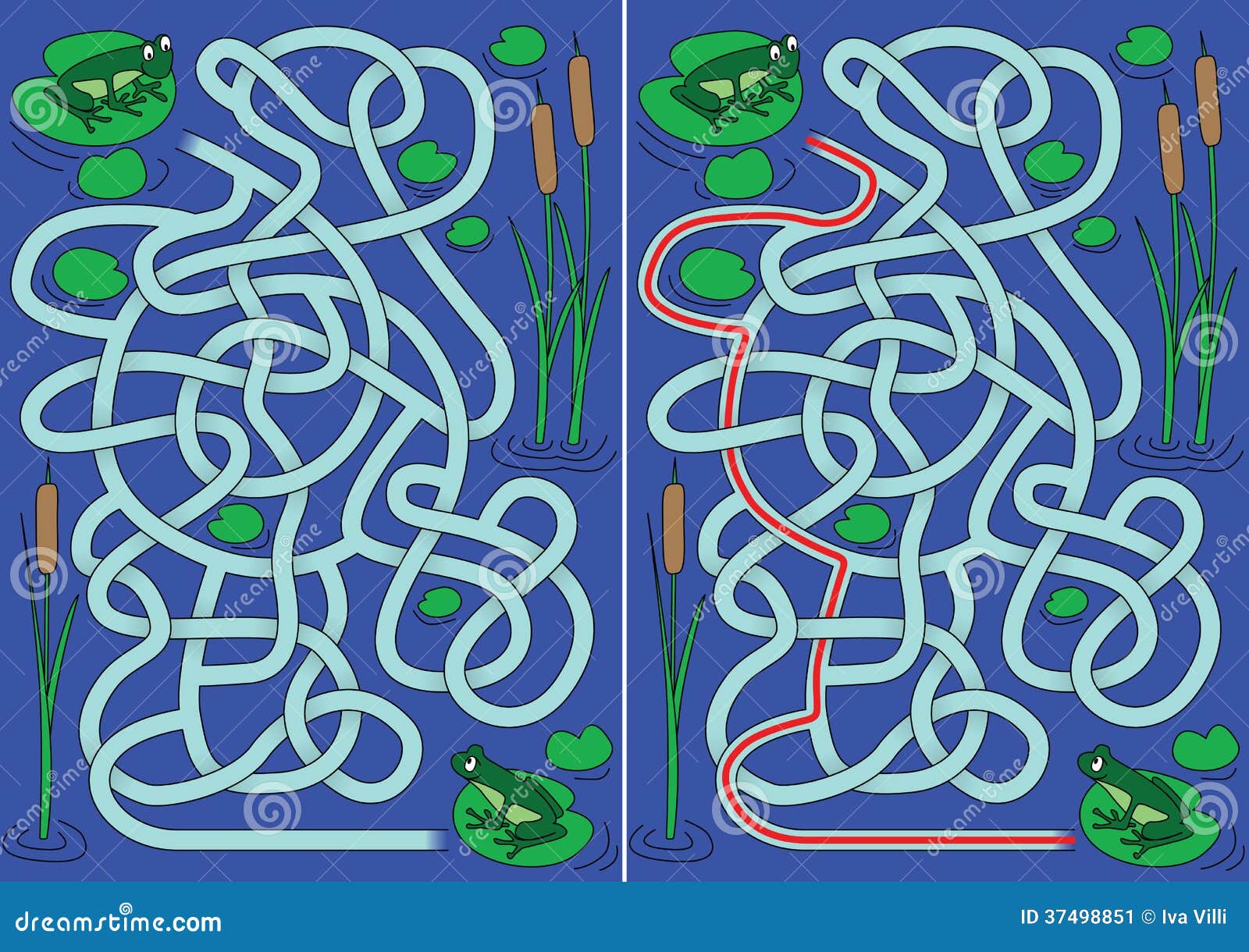 Frogs Maze stock vector. Illustration of lake, pond, composition - 37498851