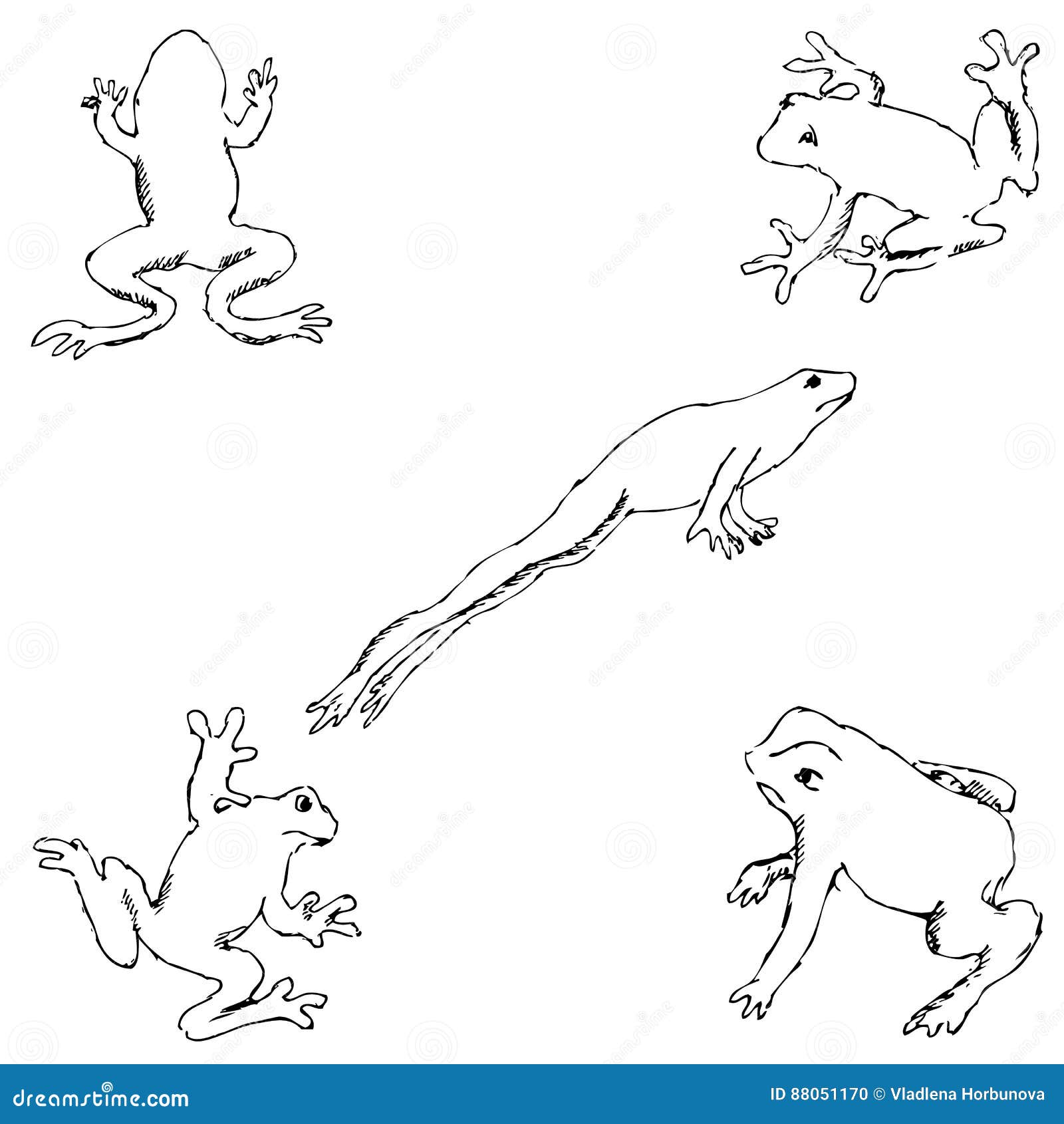 Frogs. Sketch by Hand. Pencil Drawing by Hand. Vector Image Stock ...