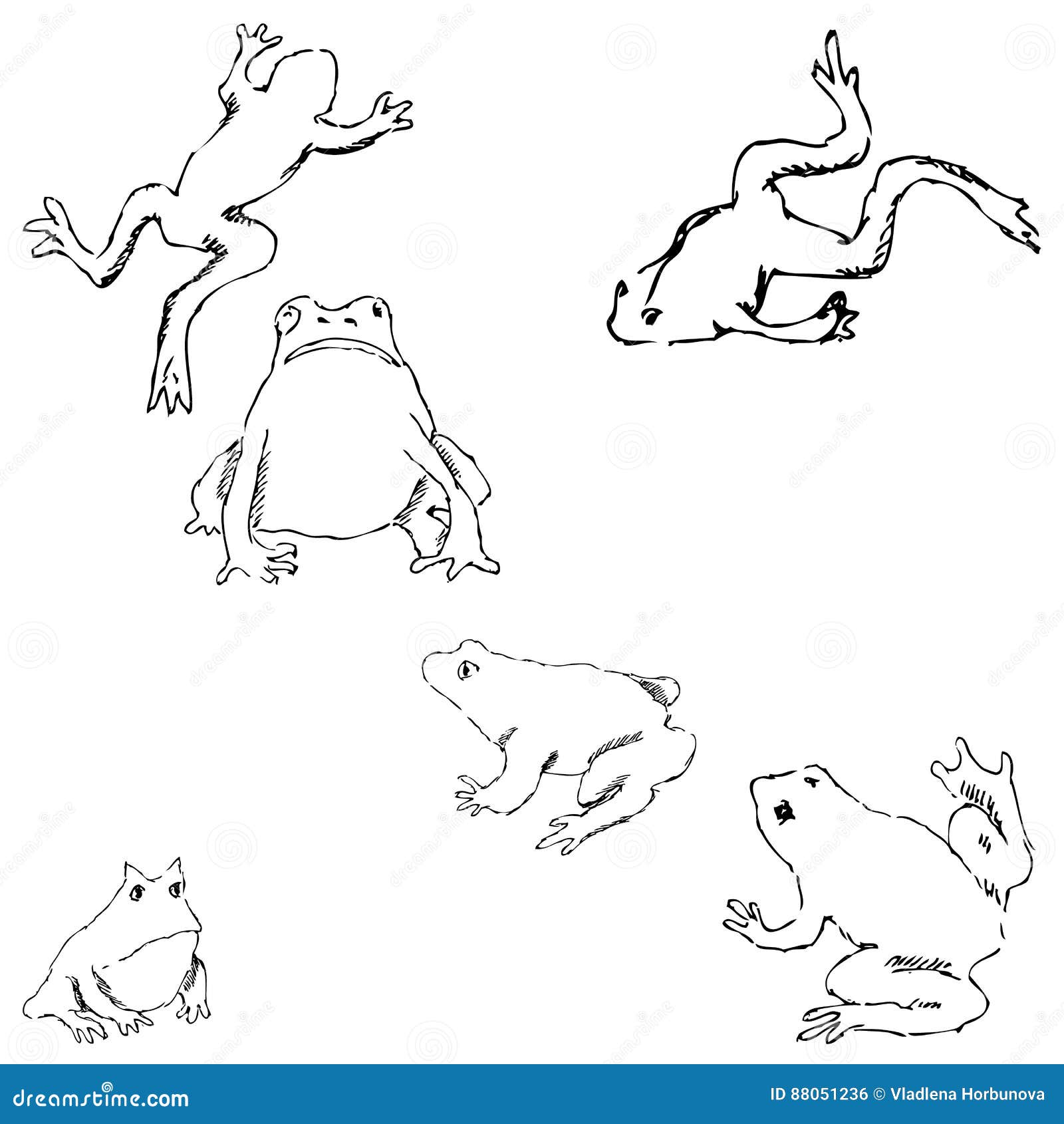 Frogs. Sketch By Hand. Pencil Drawing By Hand. Vector Image. The Image ...