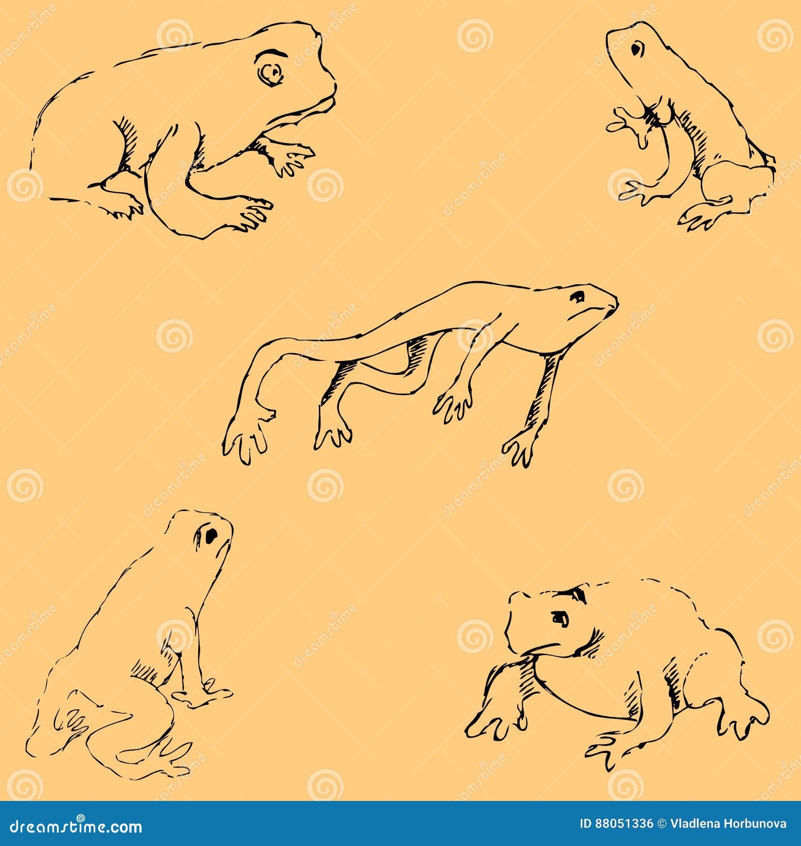 Frogs. Sketch By Hand. Pencil Drawing By Hand. Vector Image. The Image ...