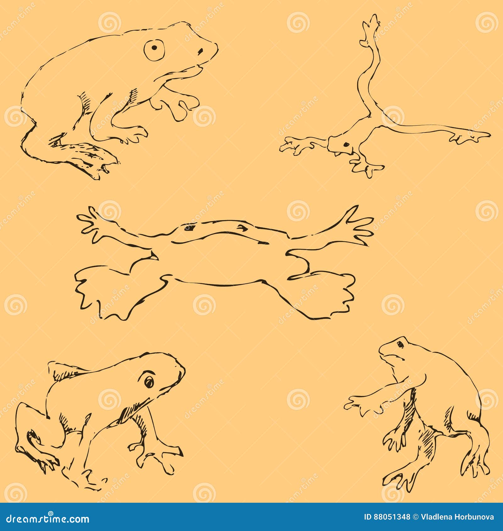 Frogs. Sketch By Hand. Pencil Drawing By Hand. Vector Image. The Image ...