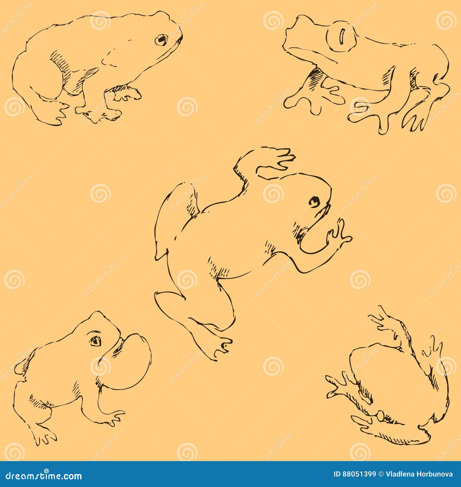 Frogs. Sketch By Hand. Pencil Drawing By Hand. Vector Image. The Image ...