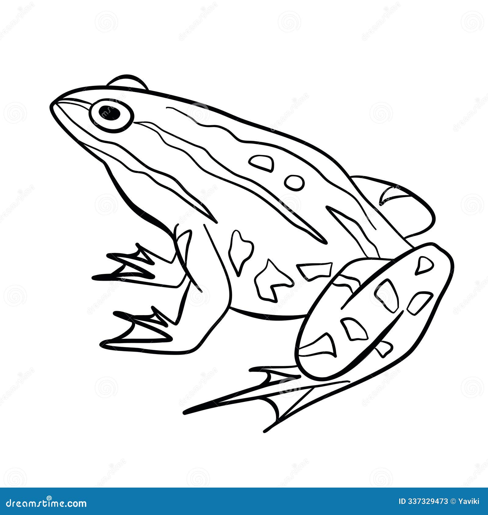Frog Outline Cartoon Colored Amphibians Animal Illustration for ...