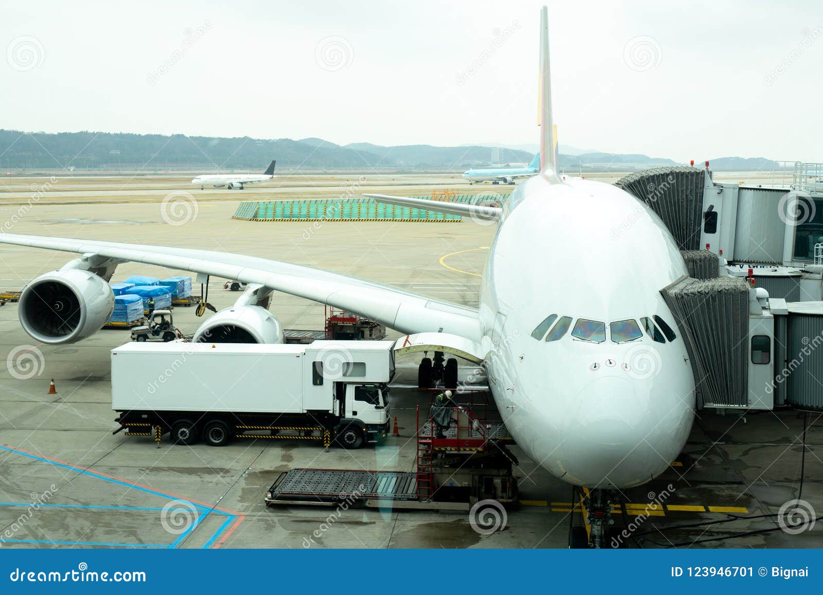 Front Angle View of Airplane on Gate Terminal Preparing for Take Off ...