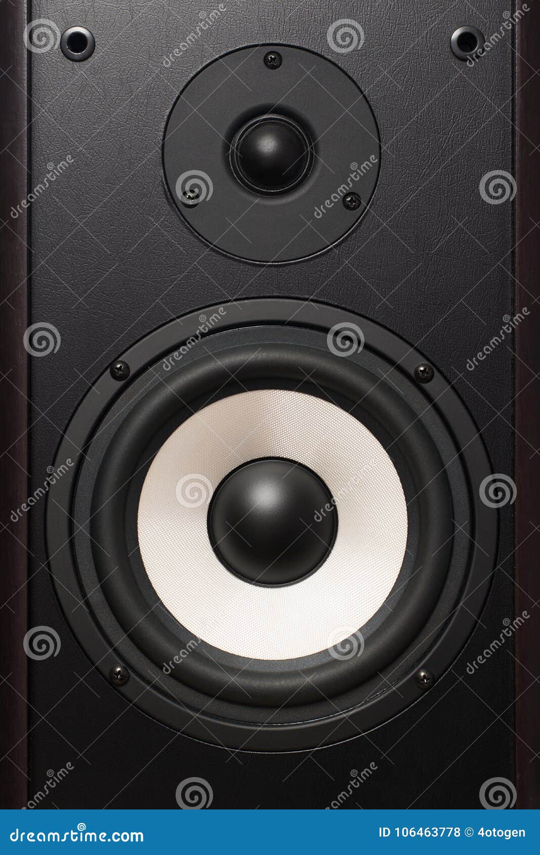 Front of the Audio Speaker, with a White Speaker Stock Photo - Image of ...