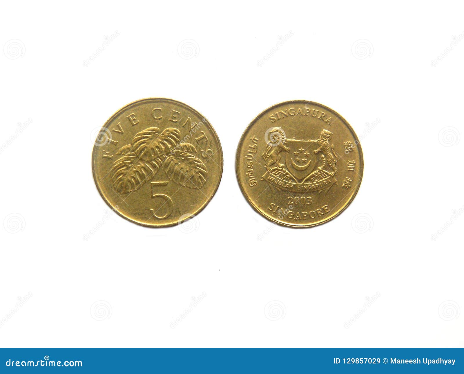 Front and Back of 5 Cents Singapore Coin Stock Image - Image of ...