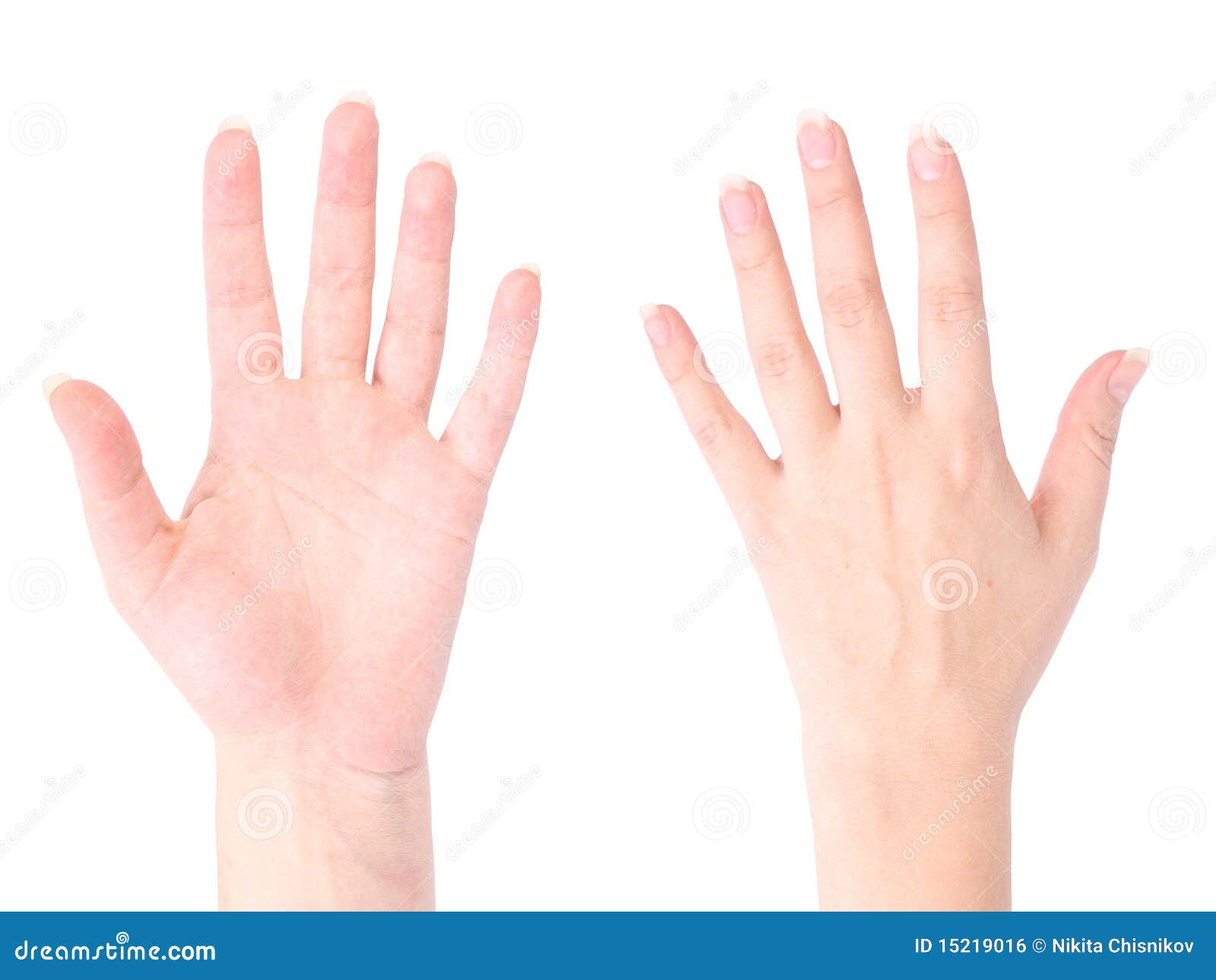 Front and back of the hand stock photo. Image of people - 15219016