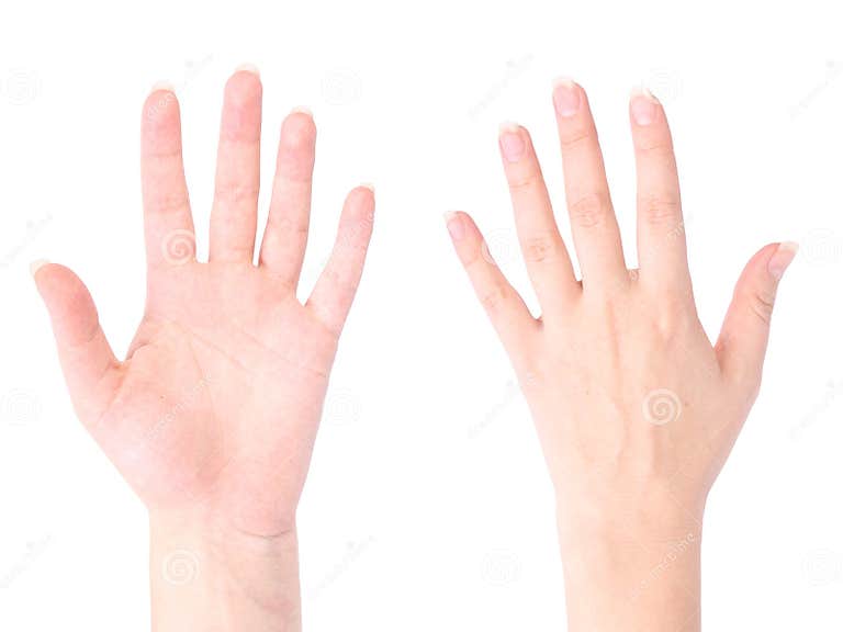 Front and back of the hand stock photo. Image of people - 15219016