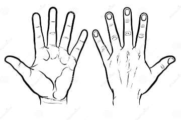 Front and Back of Hand, Outline Version Stock Vector - Illustration of ...