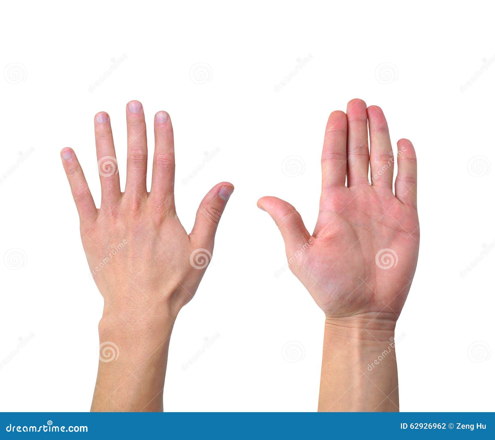 FRONT and BACK of the HAND stock photo. Image of arrow - 62926962