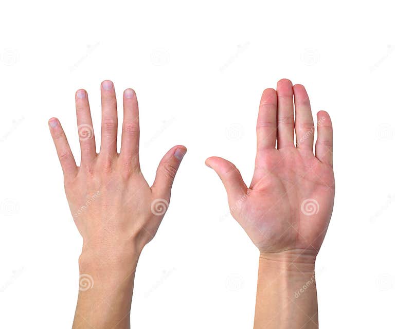 FRONT and BACK of the HAND stock photo. Image of arrow - 62926962