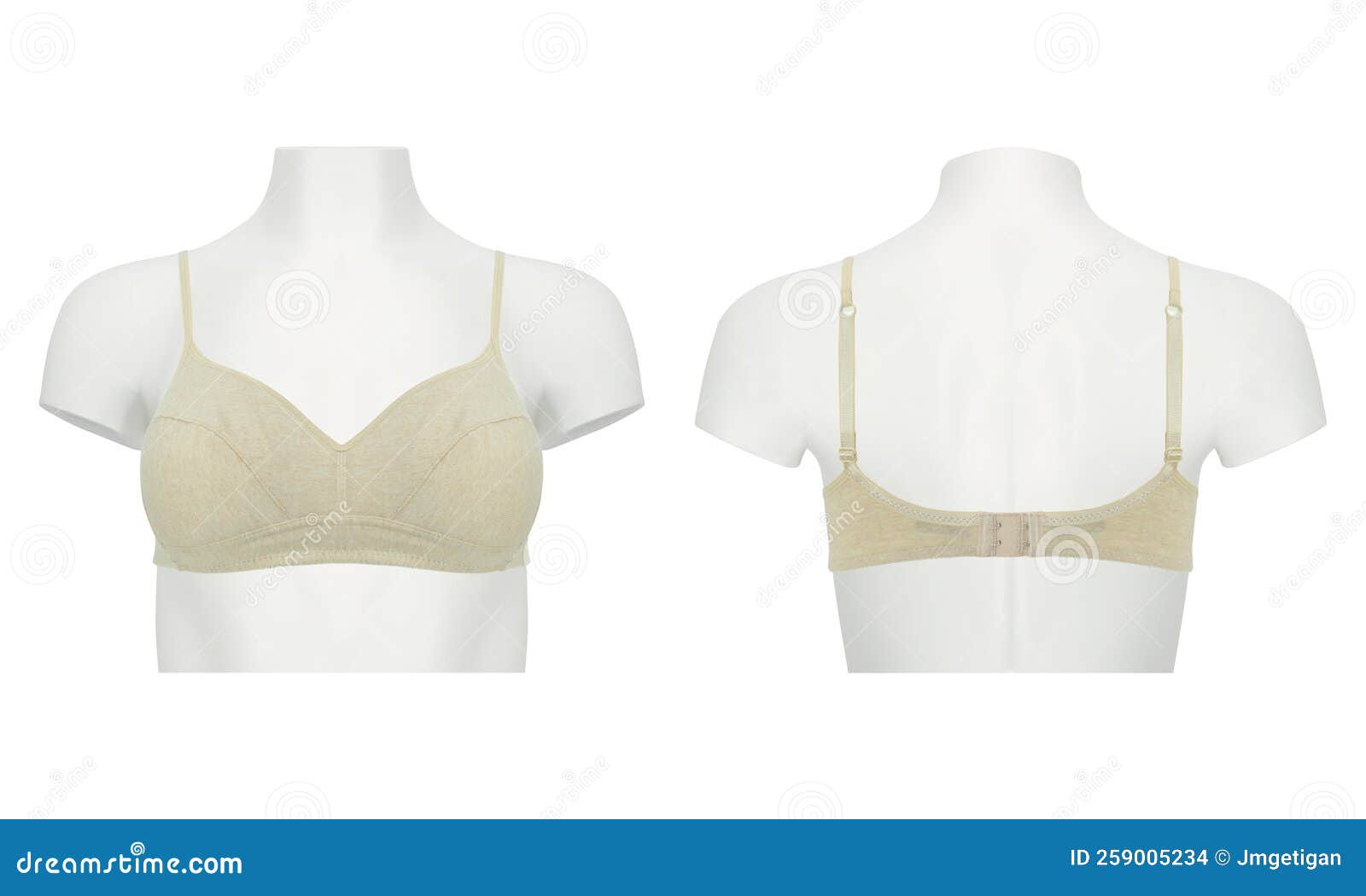Front and Back Images of a Ladies Bra on a Mannequin Stock Photo ...
