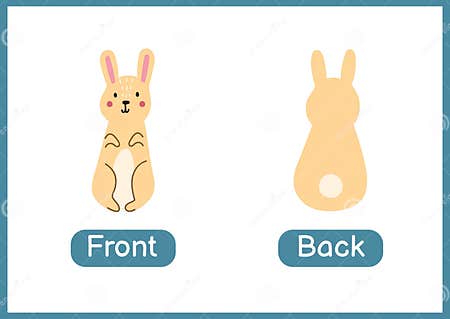 Front and Back Opposite Adjectives Educational Flashcard Stock ...