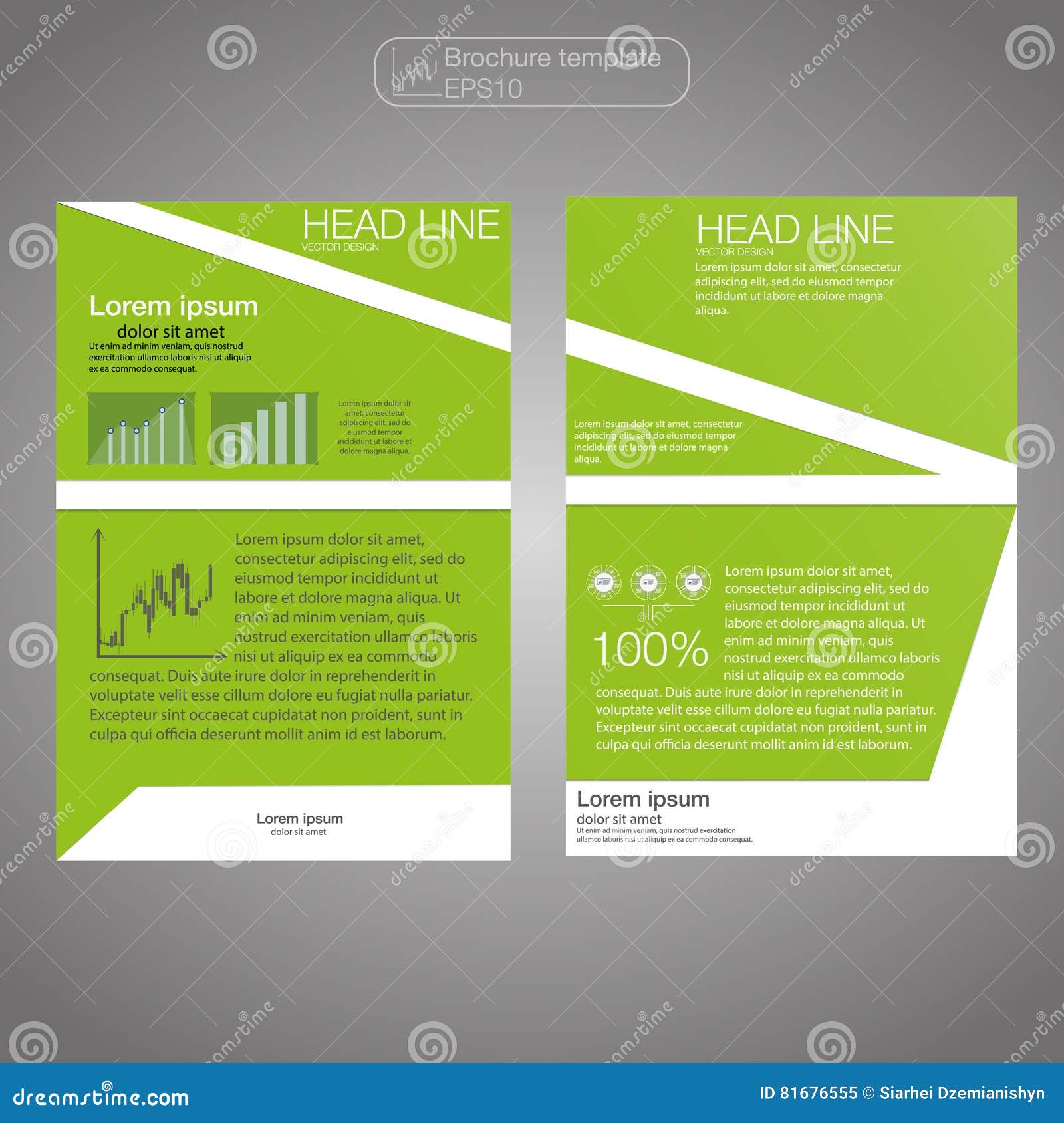 Front and Back Page Brochure Template. Layout Template. Presentation ...