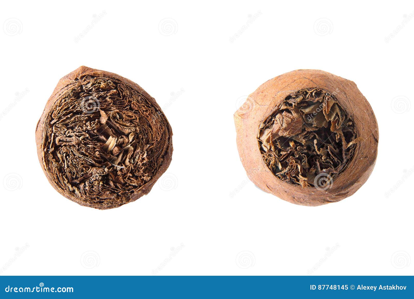 Front and Back Views of Cigar Stock Image - Image of smoking, product ...