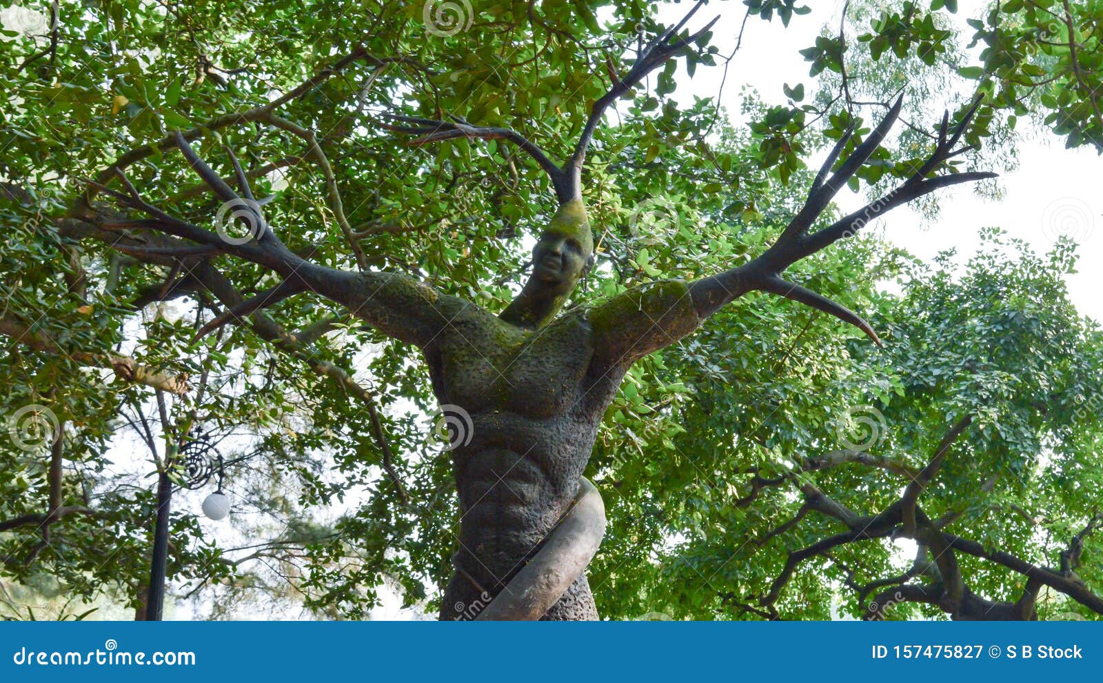 A Front or Back Yard Garden Topiary Forms and Topiary Art and Craft. a ...