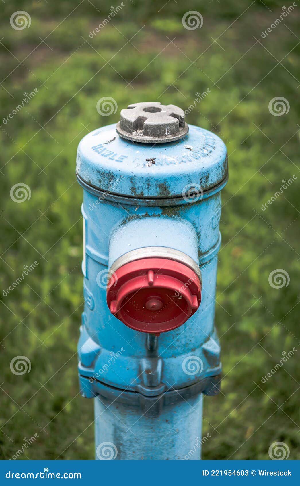 Blue Metal Hydrant and Grass Editorial Stock Photo - Image of pump ...