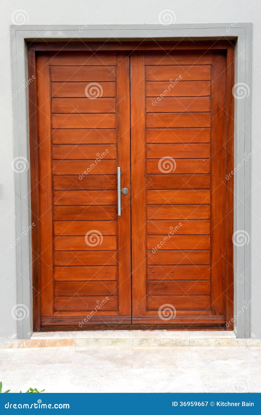 Front Door stock image. Image of green, garden, glass - 36959667