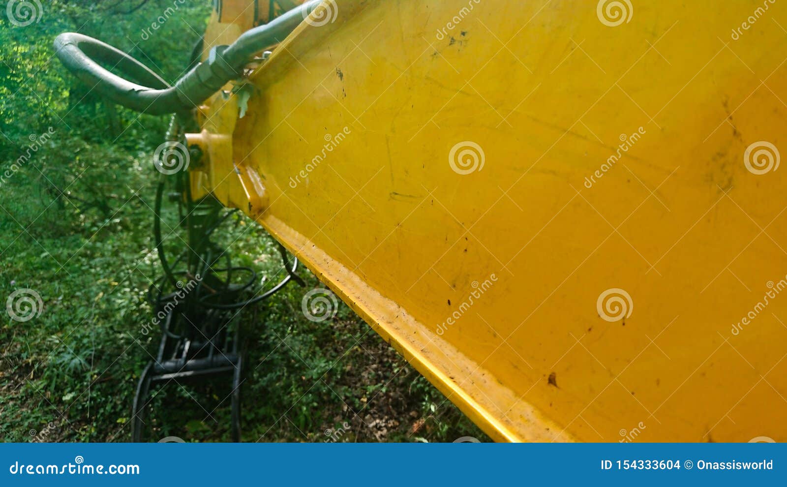 JCB Digger in Forest. Deforestation Editorial Stock Image - Image of ...
