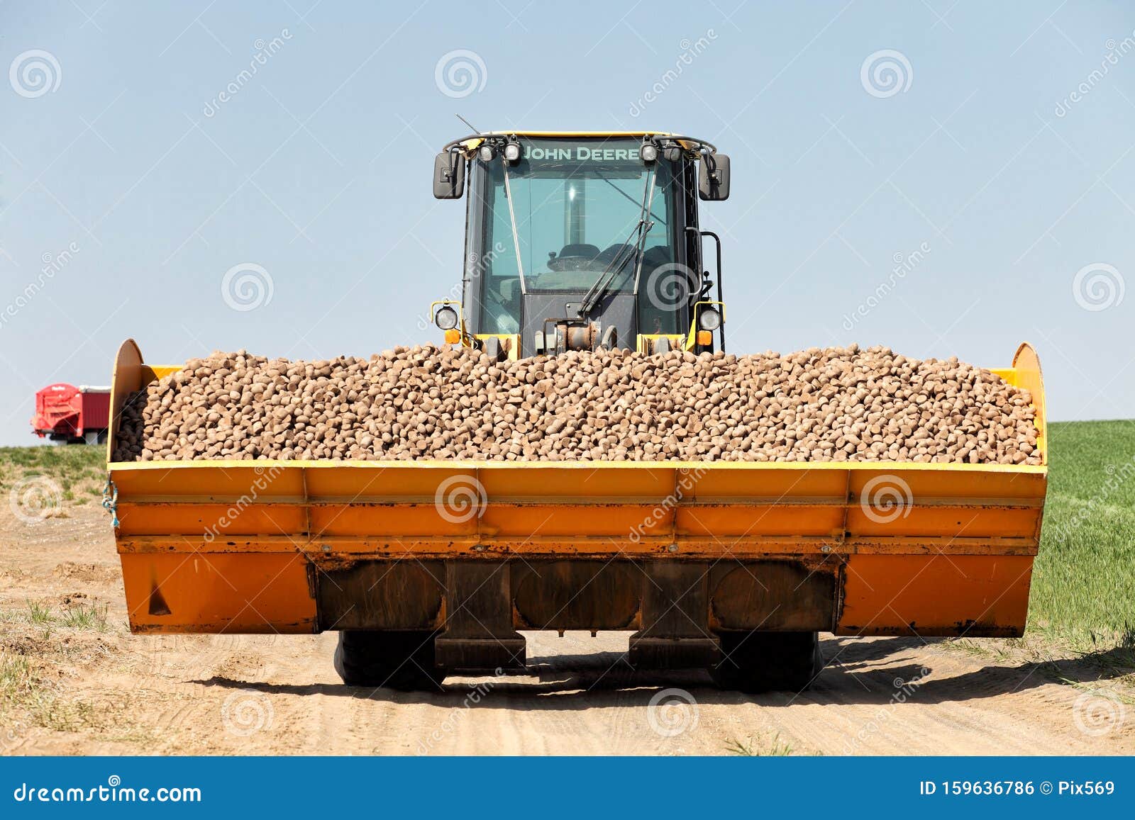 A Front End Loader Carries Bulk Potato Seed To Load A Planter ...