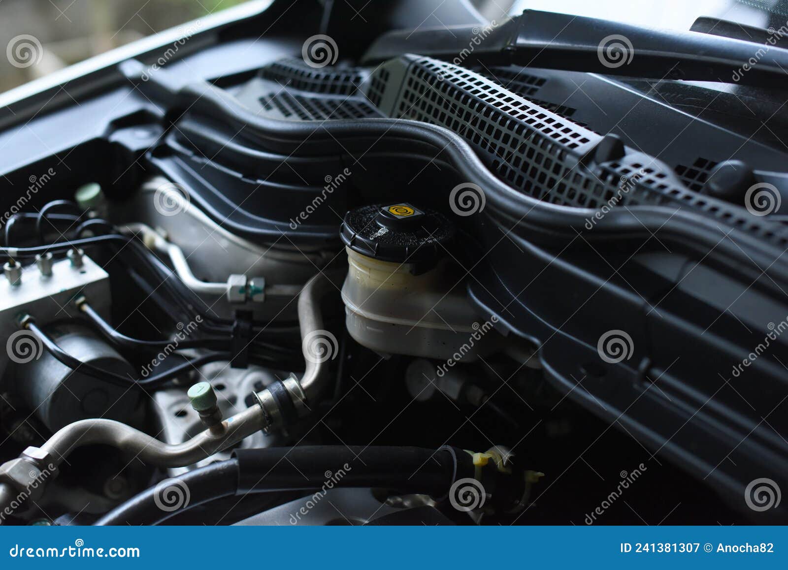 Front Engine Brake Oil Filling Point Brake Fluid Plug Stock Image ...