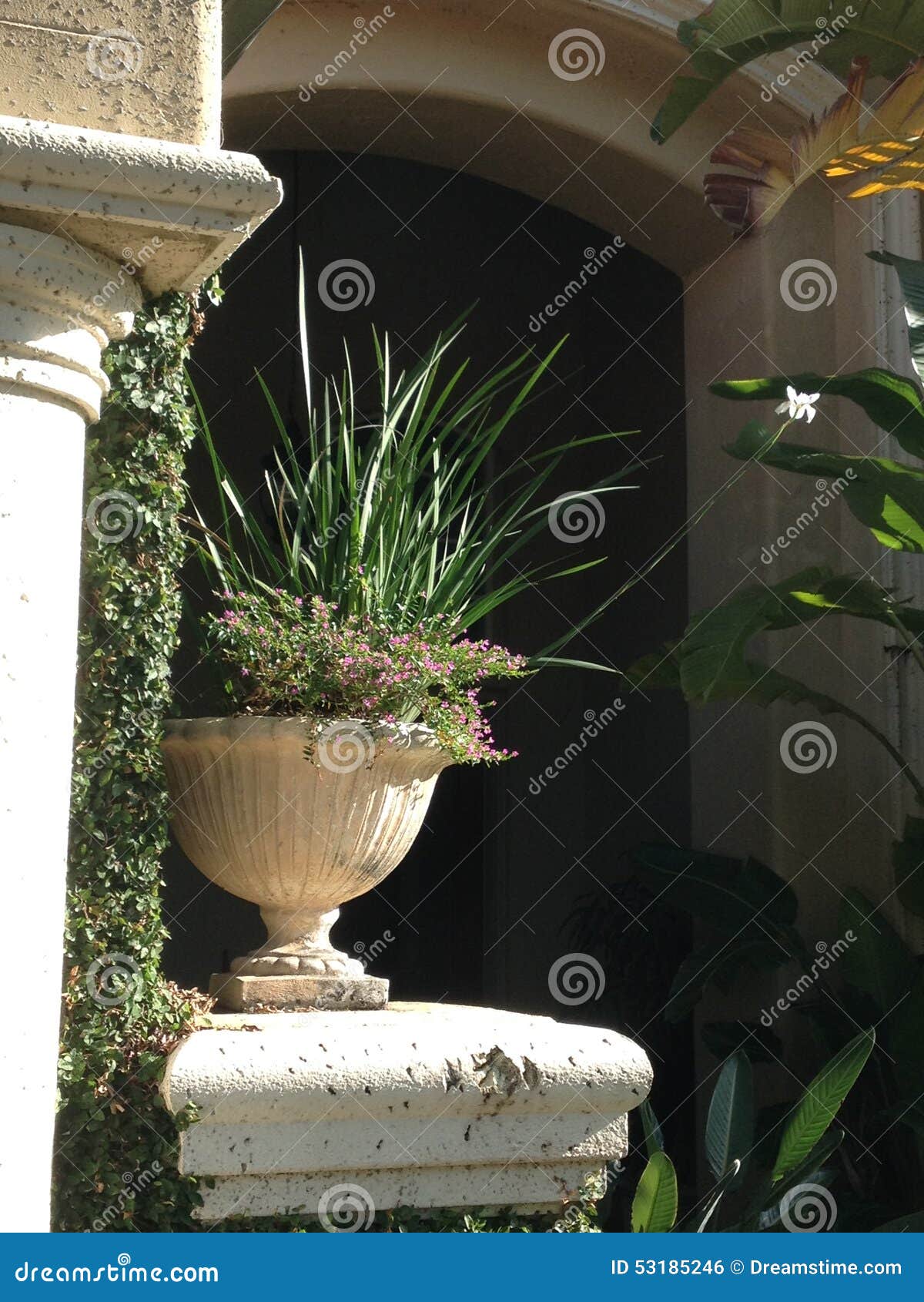 Front Entryway Or Stoop Indoors With Sunstreak Stairs Blue And White ...