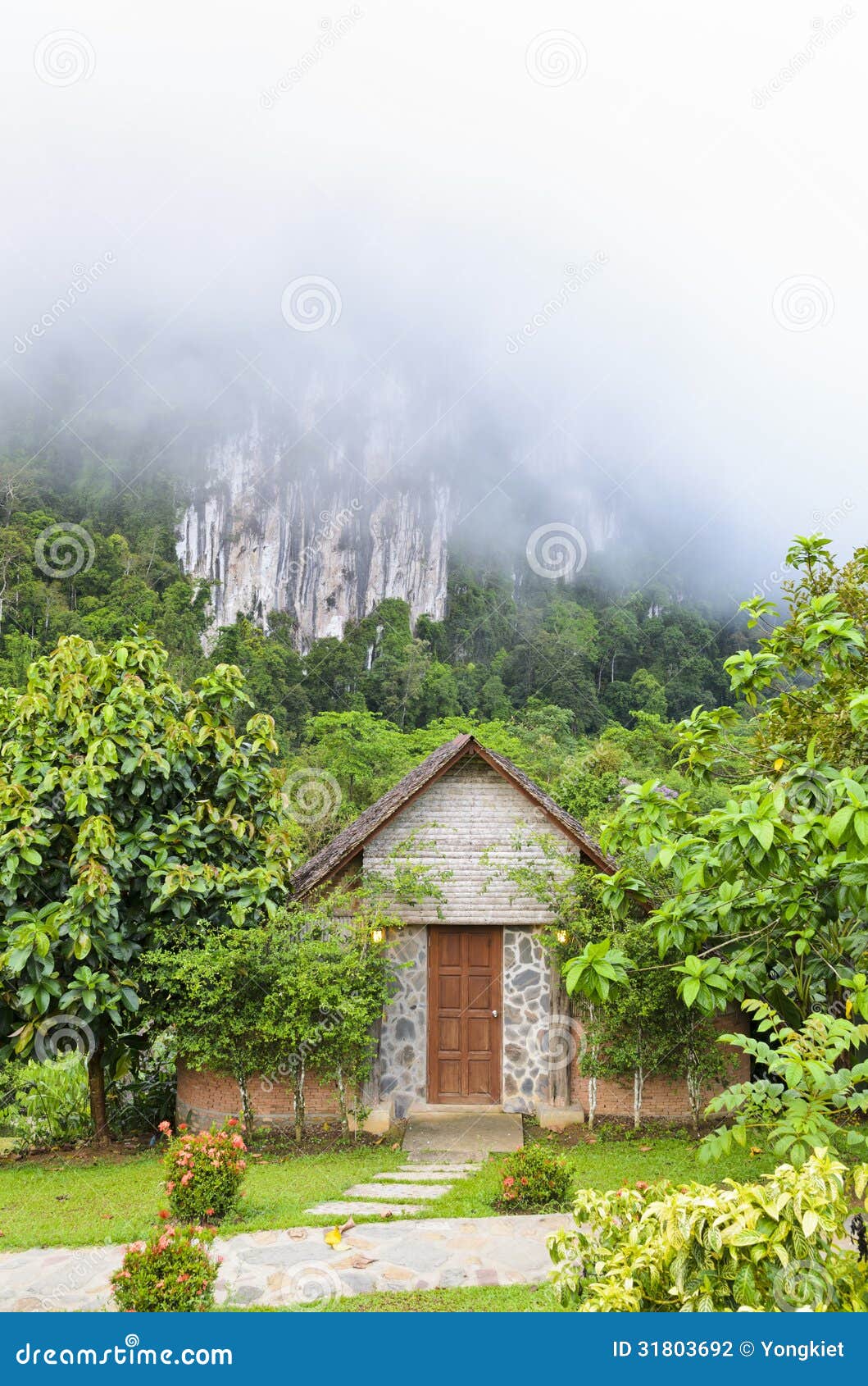 Front home in the morning stock photo. Image of dawn - 31803692