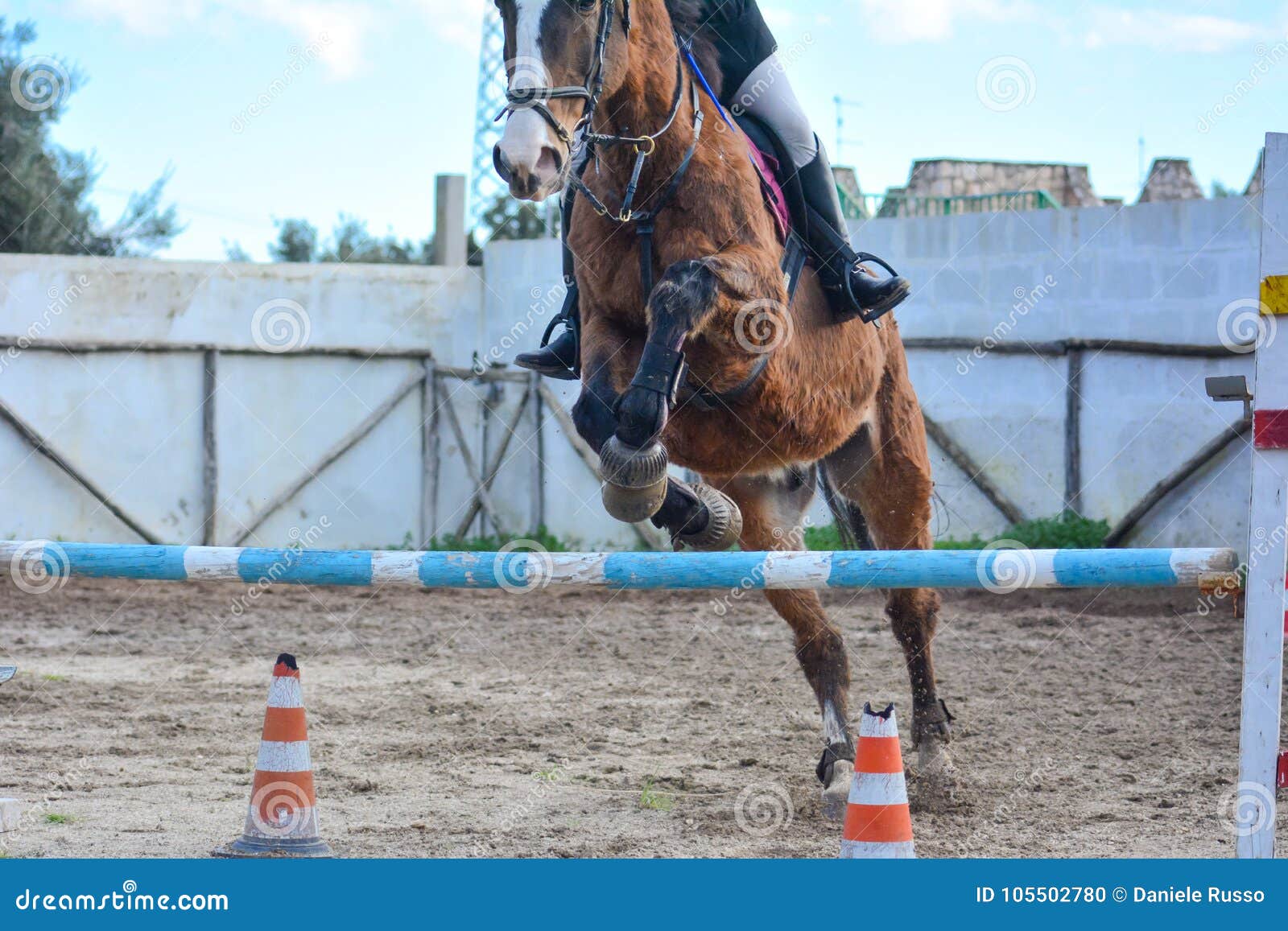 Front Horizontal View of Ein Brown-Pferd, Welches Das Hindernis Springt ...