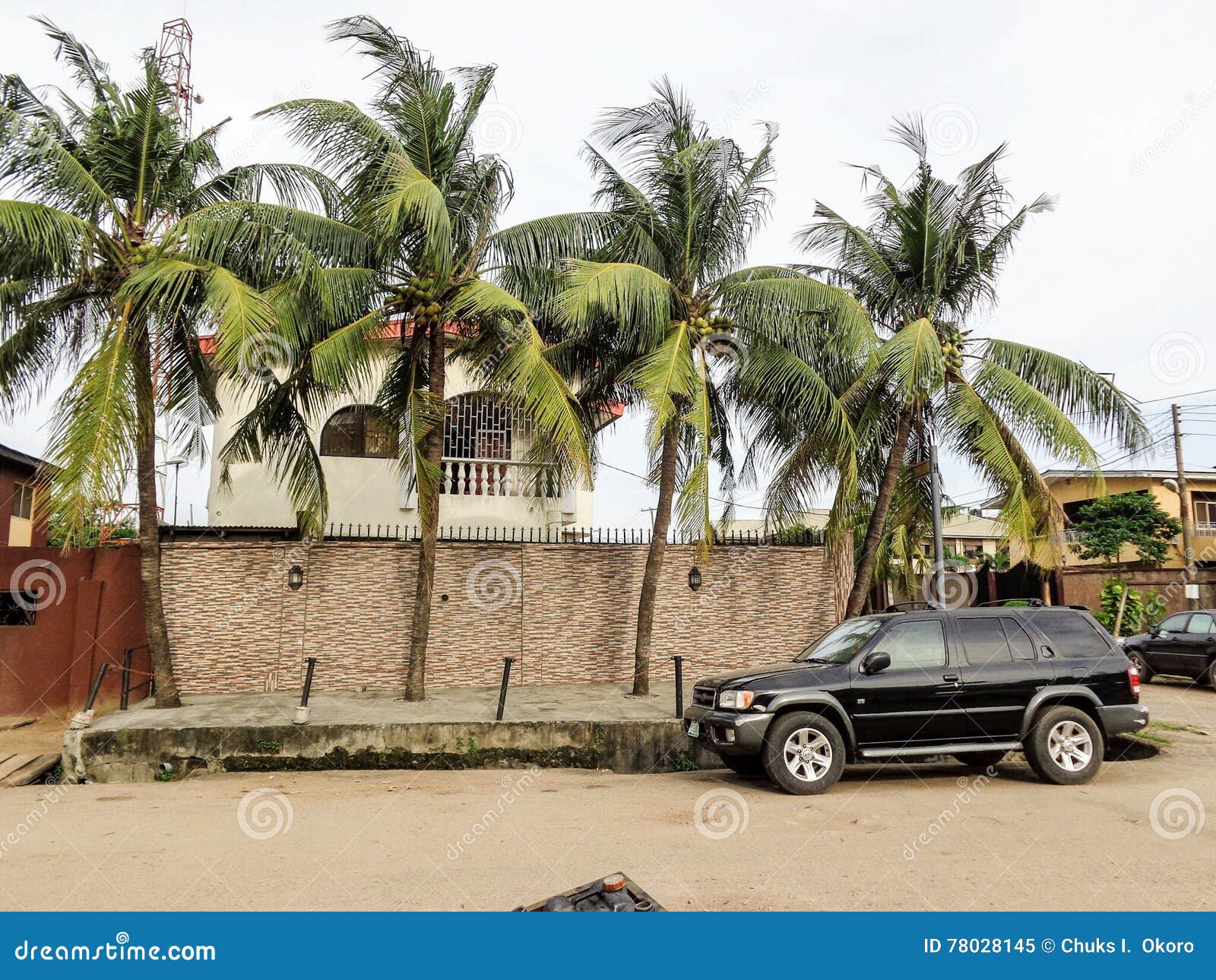 Front House Coconut Tree Pattern Stock Image - Image of leaves, wall ...