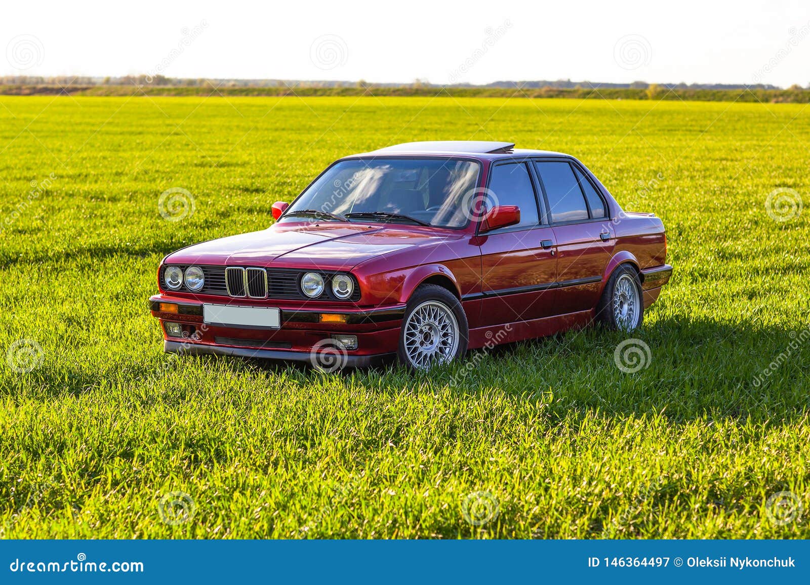Front Left Side of an Old German Car that Stands on Green Grass at ...