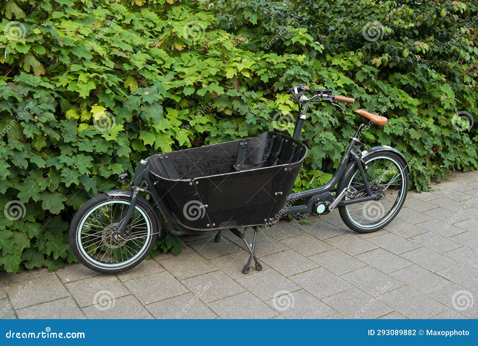 Front Load Children Trike. Cargo Bicycle for a Load Stock Photo - Image ...