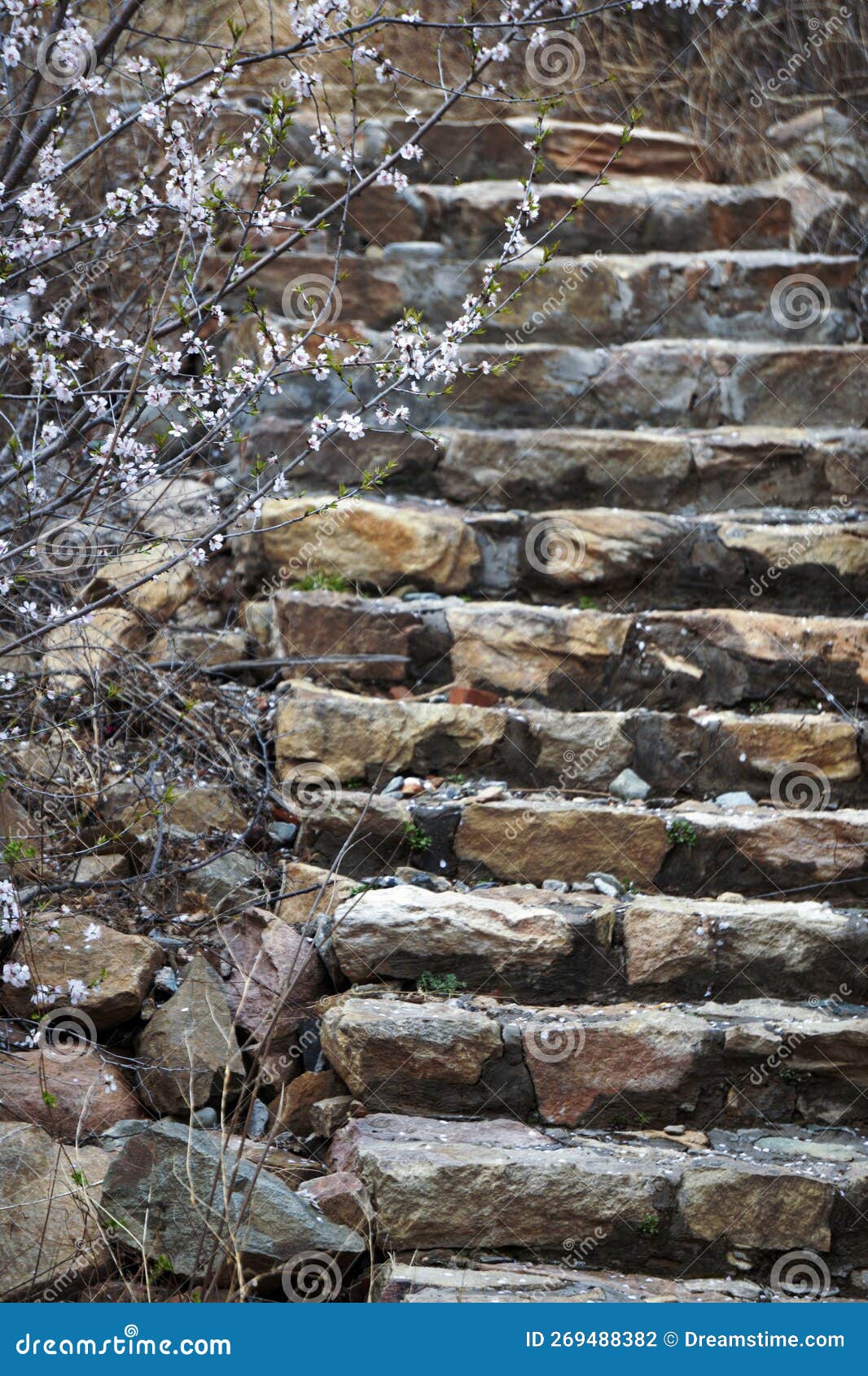 In Front of Me is an Unmanned Stone Step Leading To the Mountain Stock ...