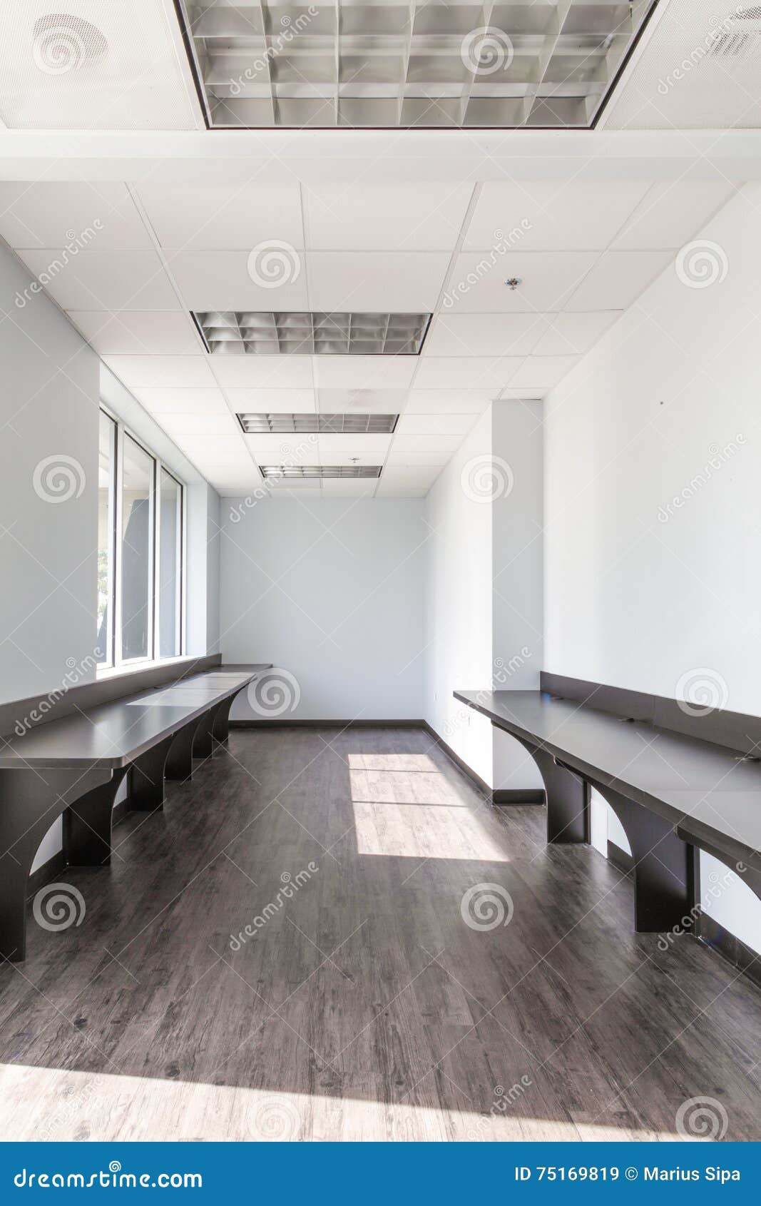 The Front Office stock image. Image of cabinets, ceiling - 75169819