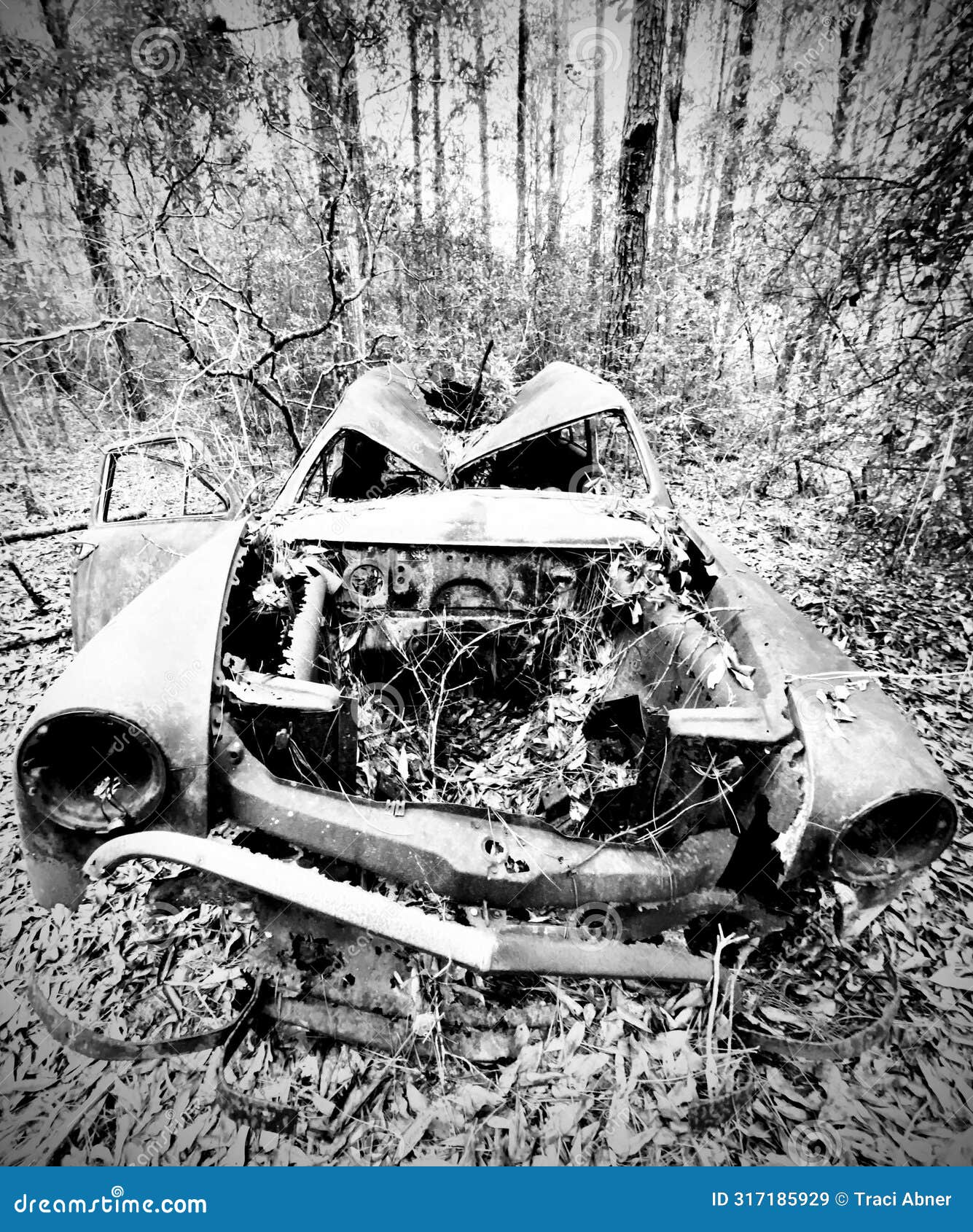 Front of Old Wrecked Car Missing the Hood Buried in the Deep Woods ...