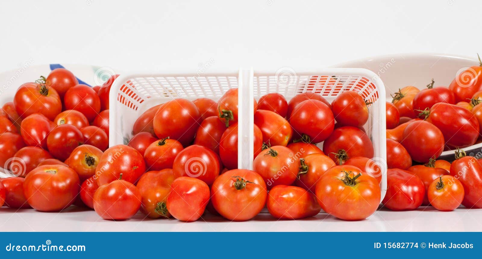Front Panoramic View of Field Tomatoes Stock Photo - Image of organic ...