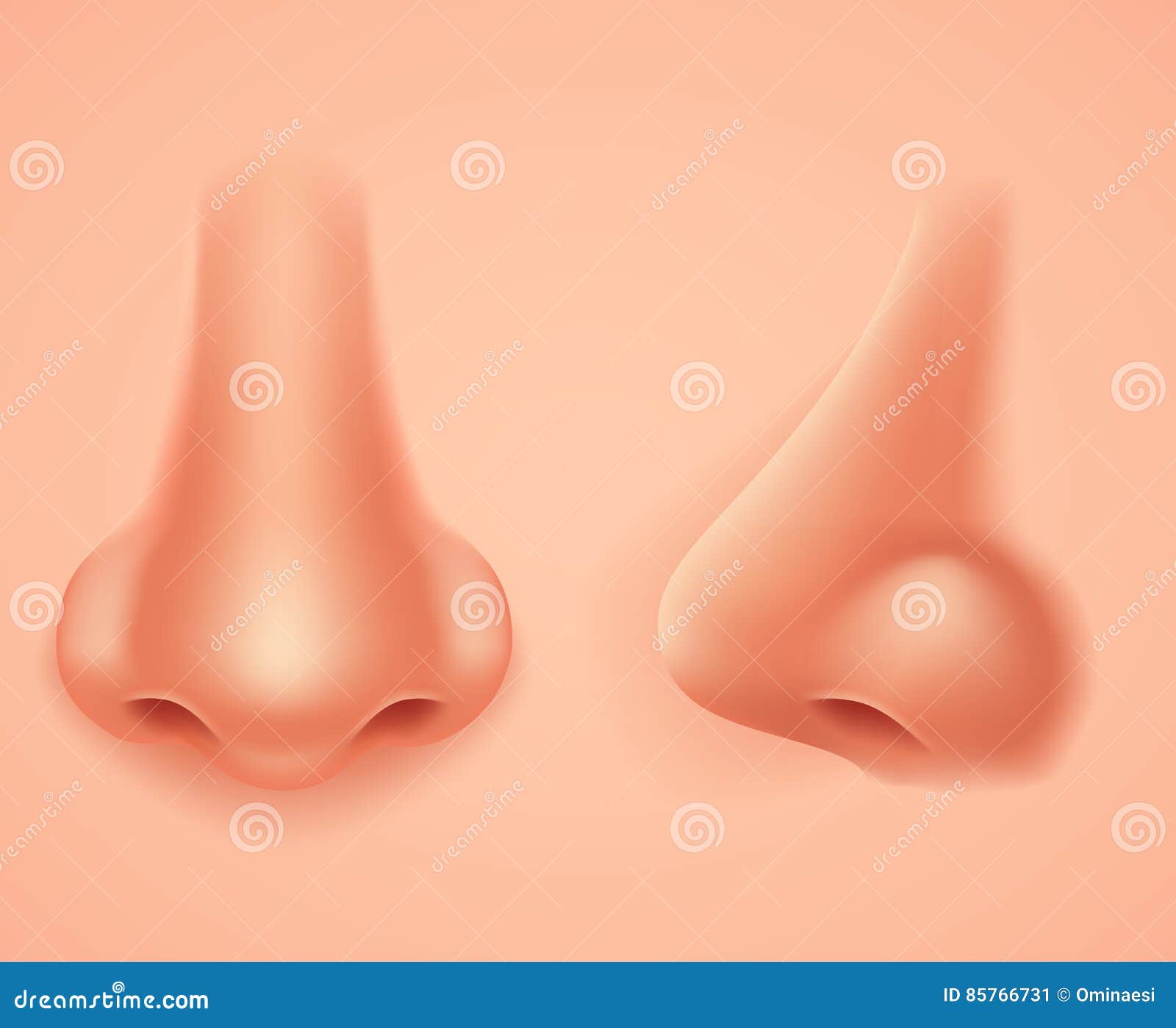 Front Profile Human Nose Realistic Background Isolated 3d Design Vector ...