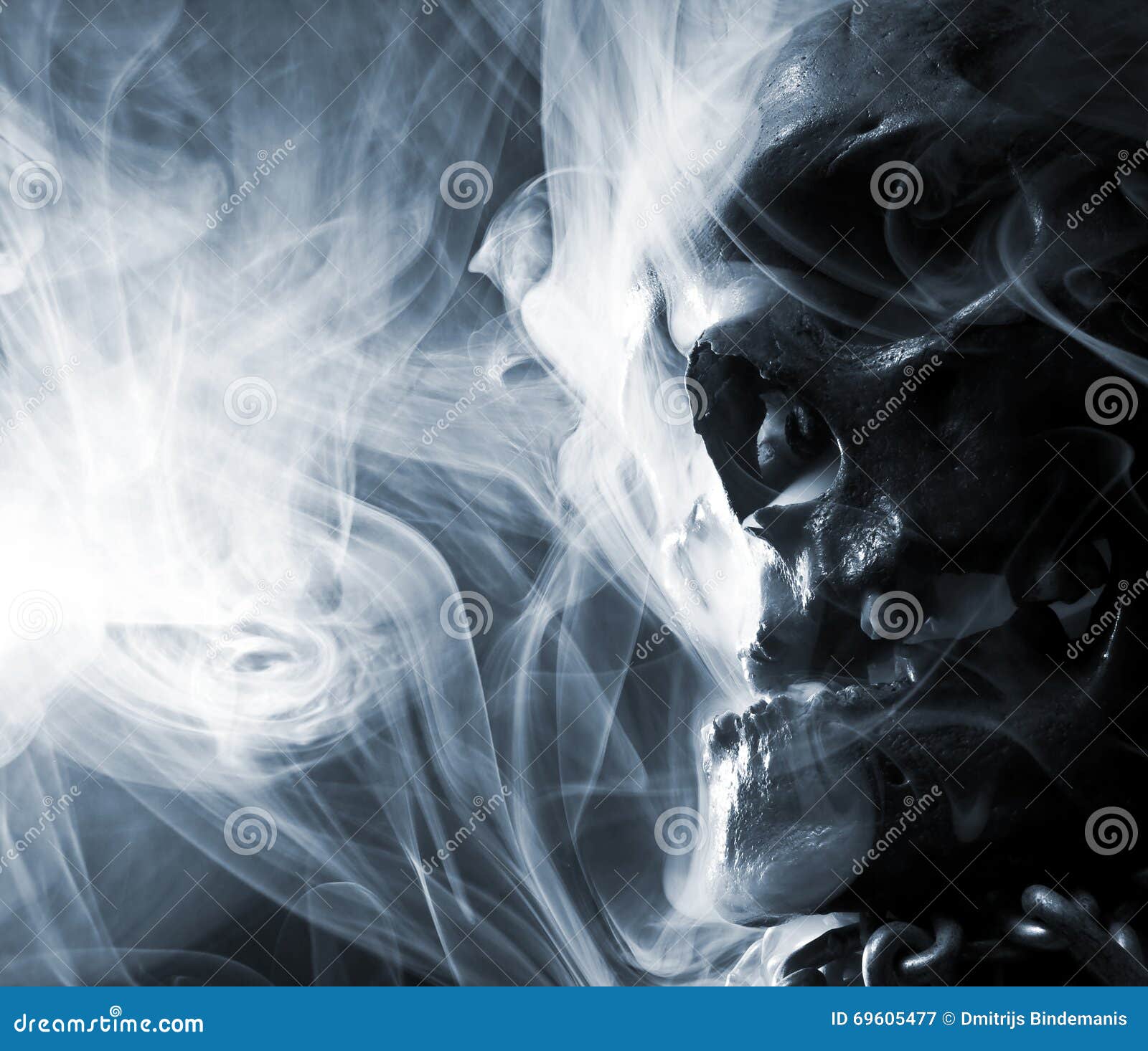 Front of real skull stock image. Image of halloween, ancient - 69605477