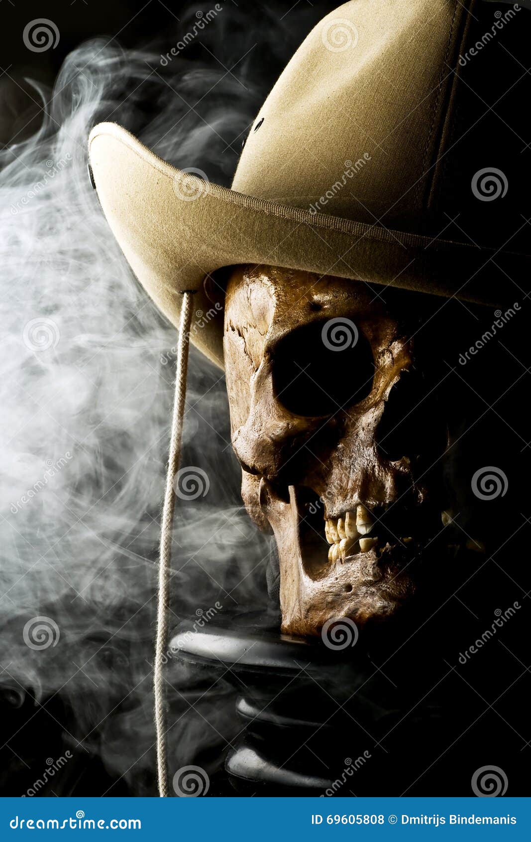 Front of real skull stock photo. Image of fantasy, fear - 69605808
