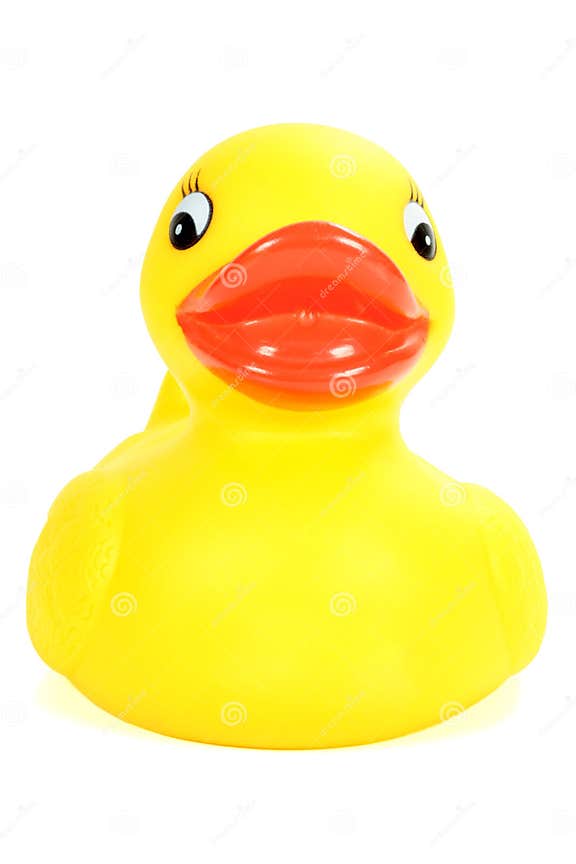 Front rubber ducky stock photo. Image of duck, rubber - 23329544