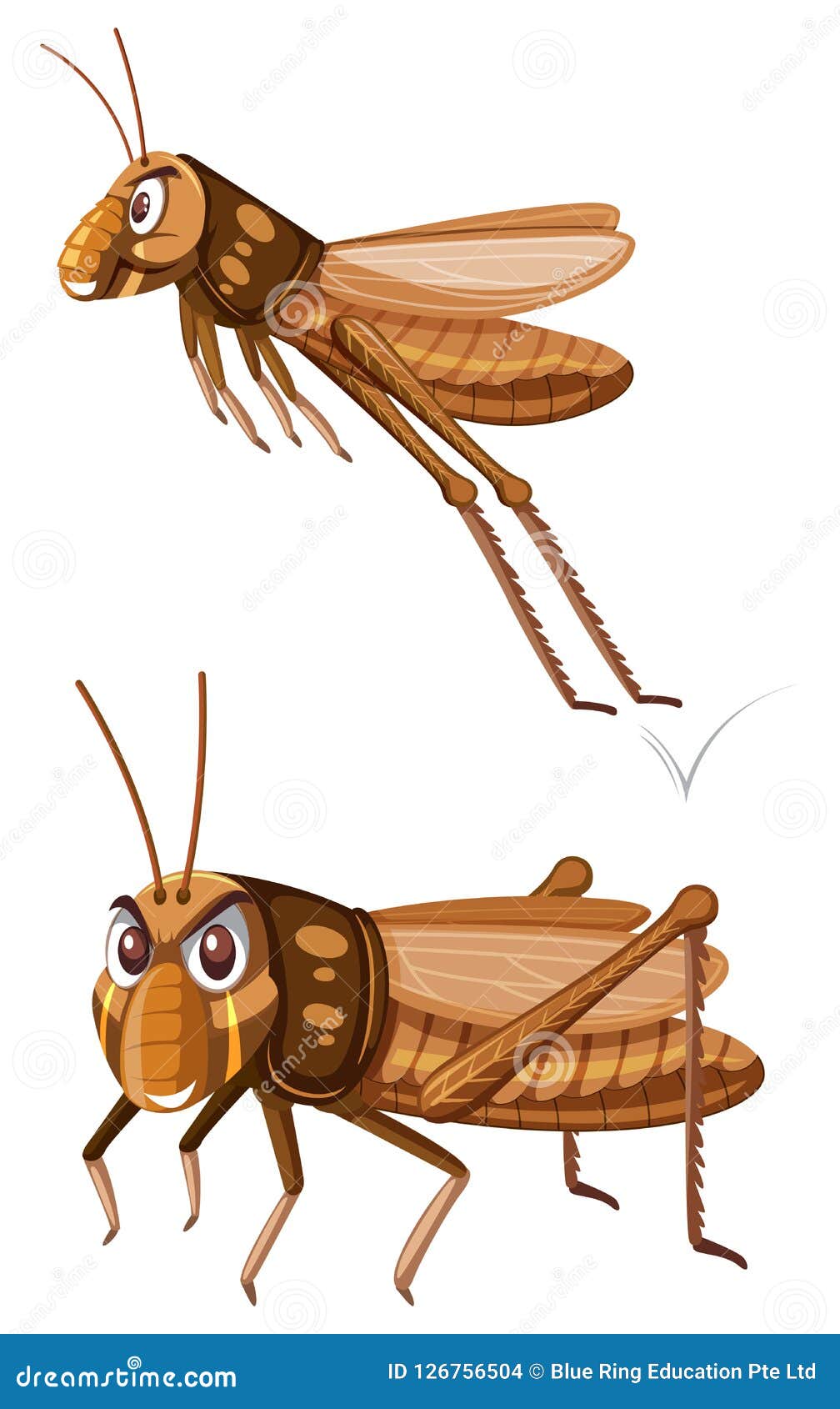 Grasshopper, Side View,. Silhouette Of Grasshopper Vector Illustration ...