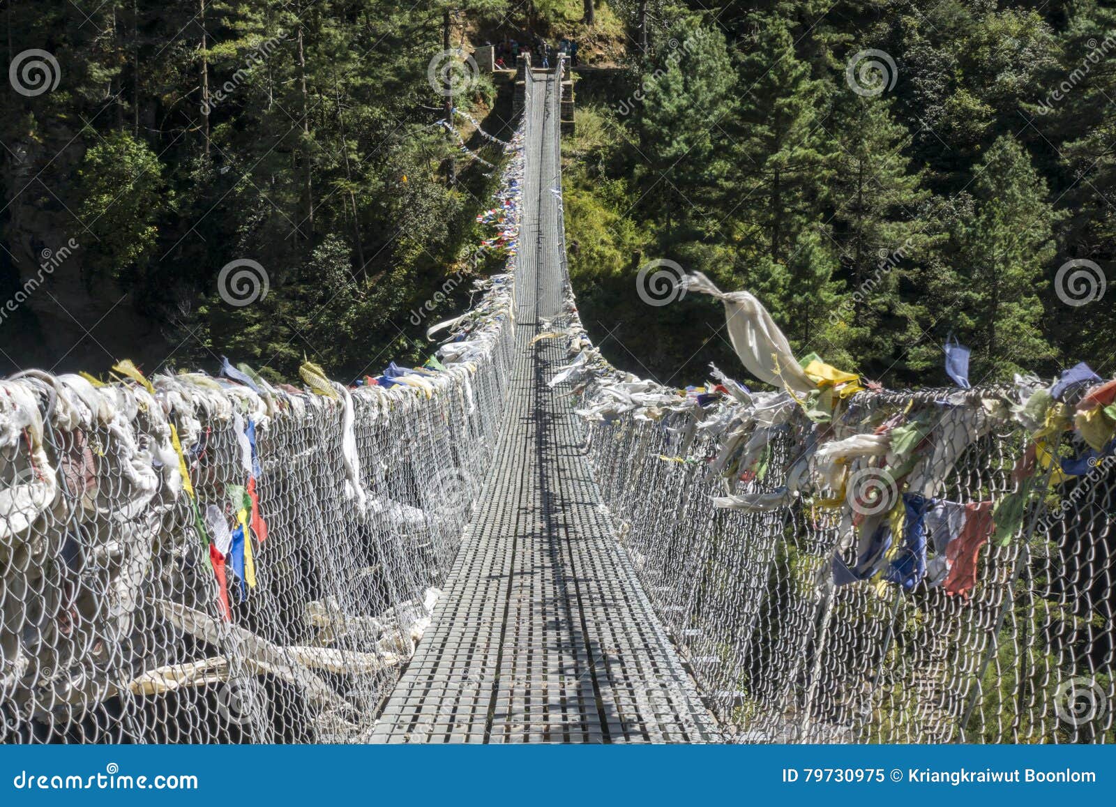 Hillary Suspension Bridge Stock Photos - Free & Royalty-Free Stock ...
