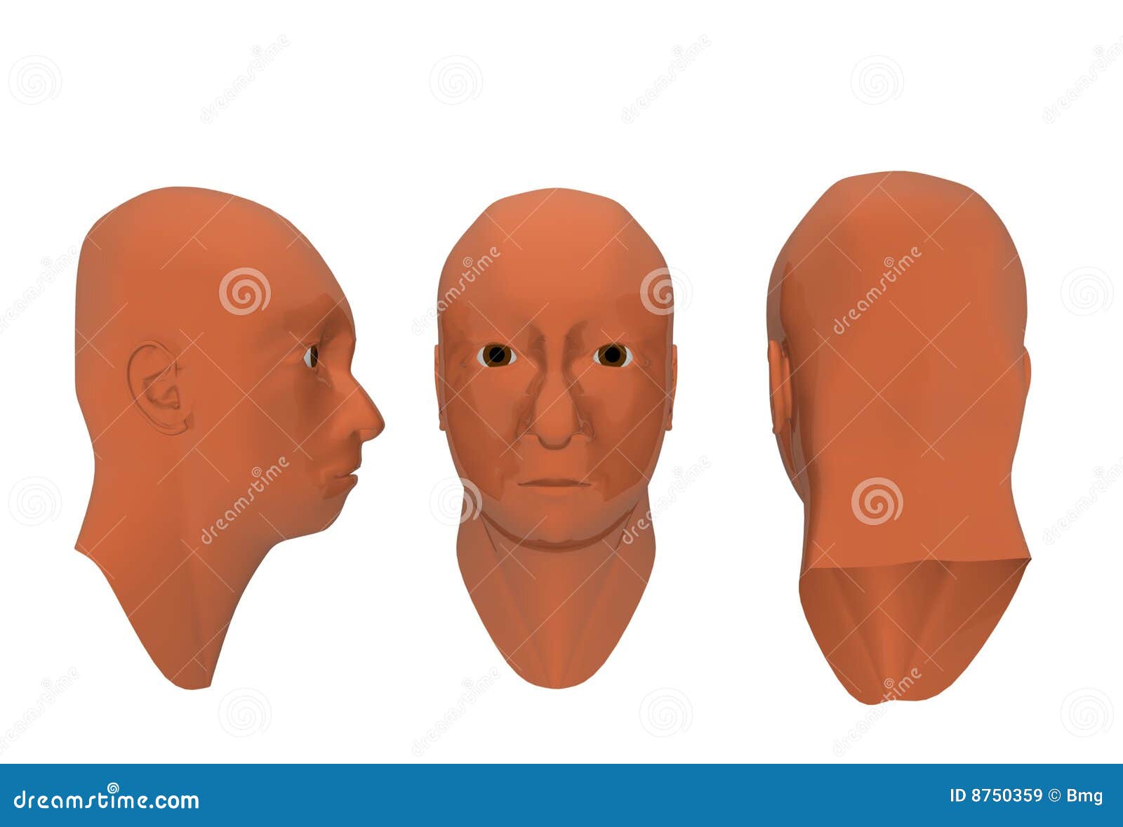 Front side rear stock illustration. Illustration of portrait - 8750359