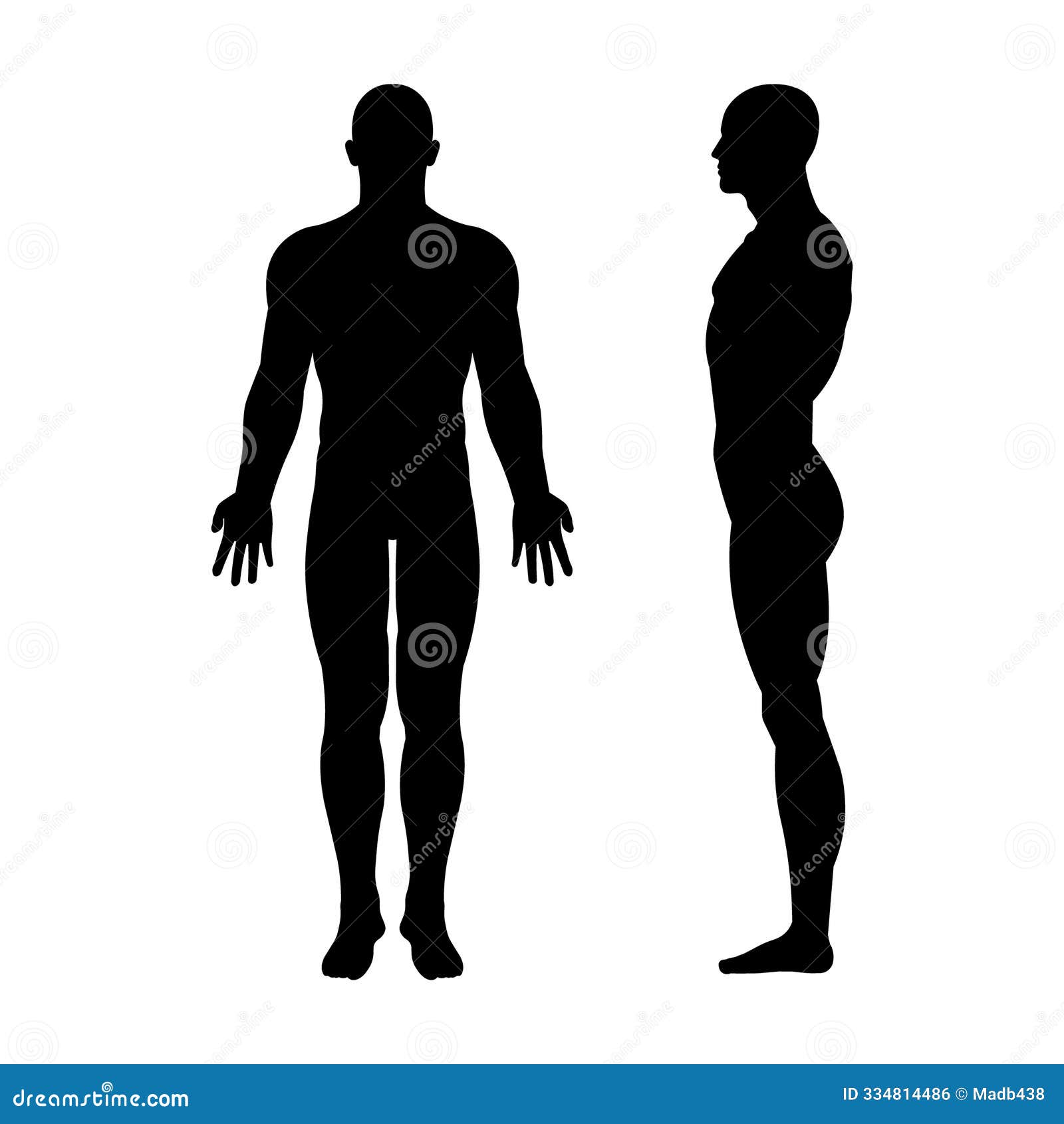 Front and Side View of Human Silhouette. Vector. Stock Illustration ...