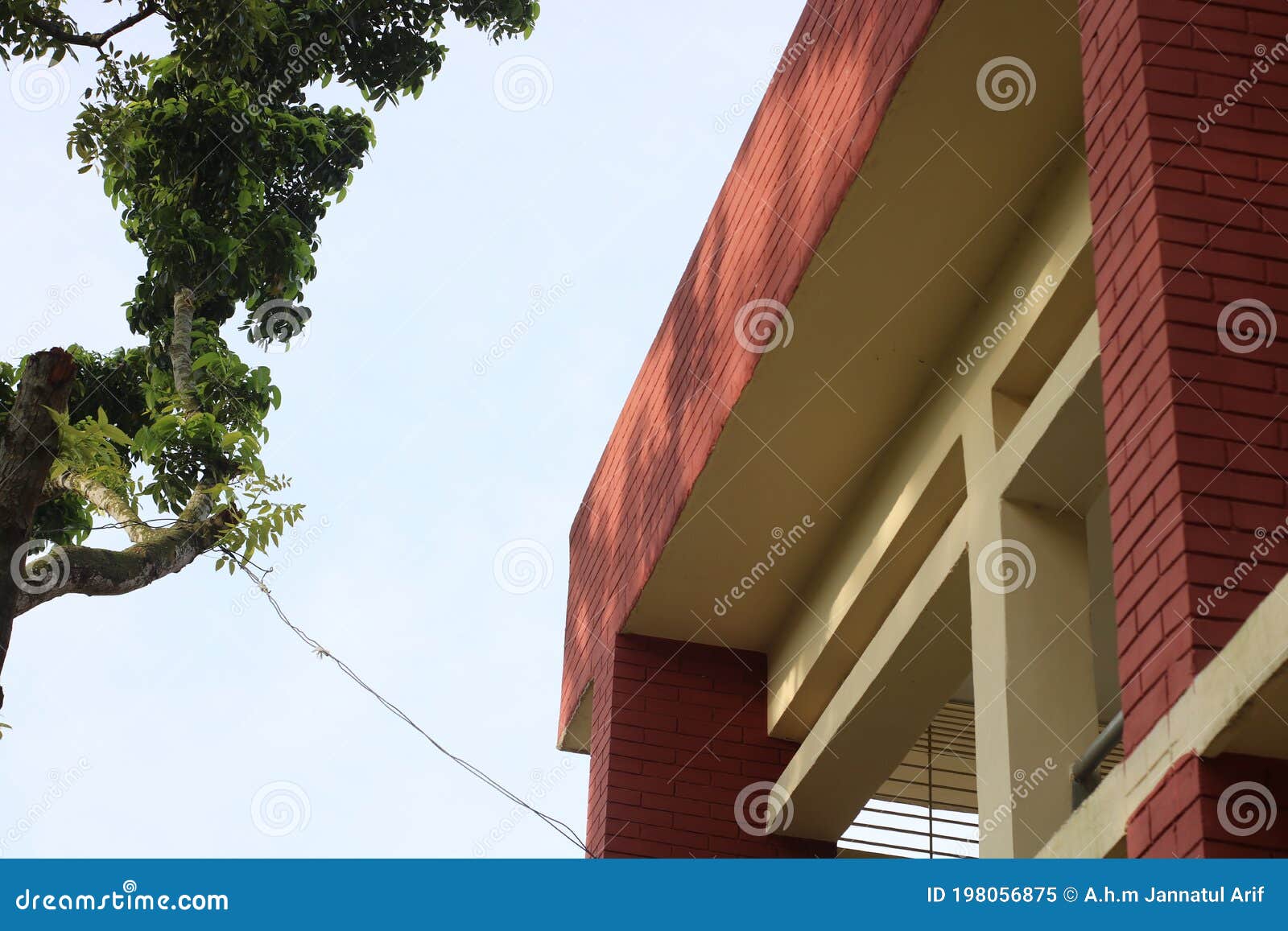 Front Sight of Modern Architecture Building by the Tree Unique Stock ...